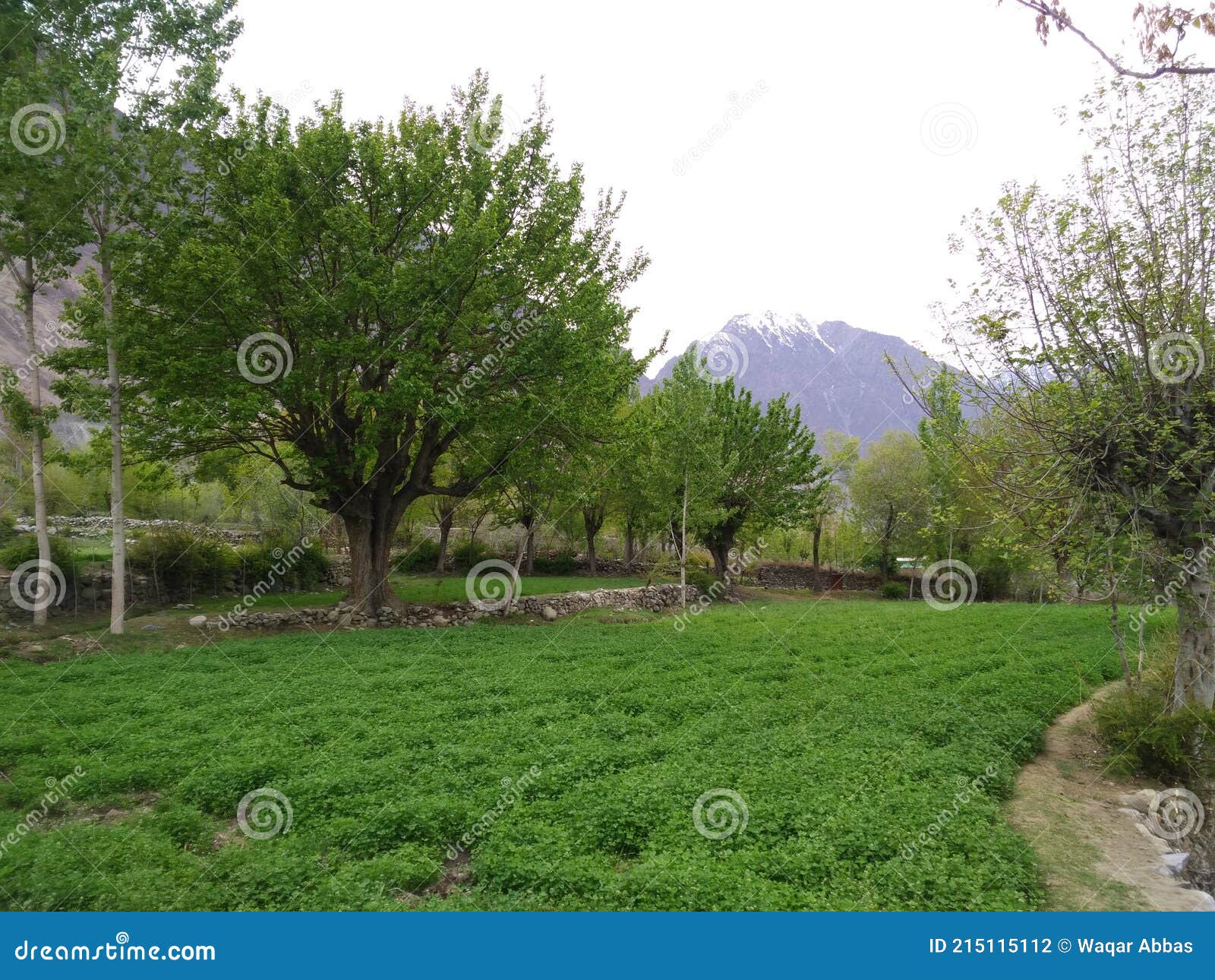 Beautiful Place Basin Valley Gilgit Pakistan Stock Photo - Image of ...