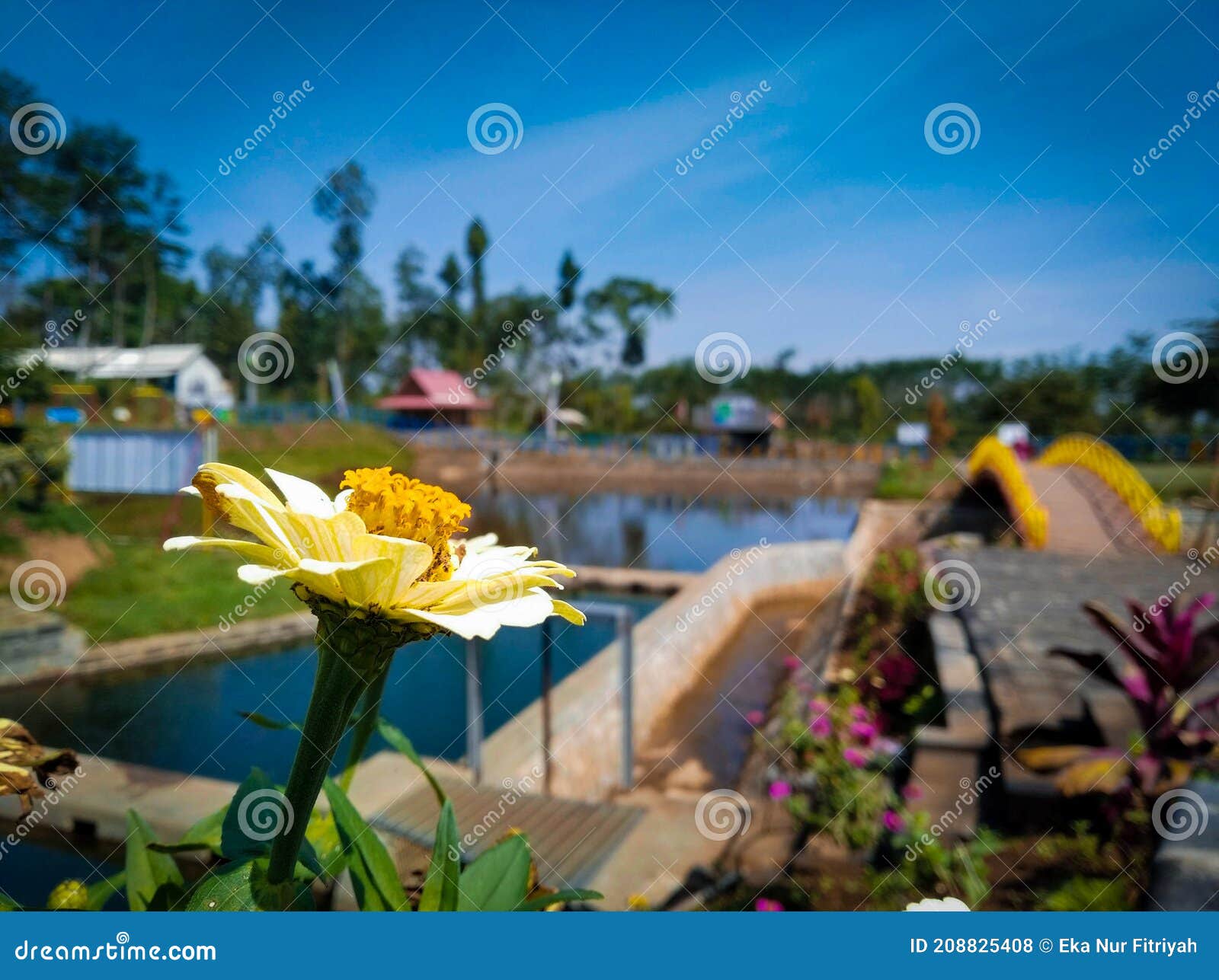 Beautiful place on Krucil stock photo. Image of yellow - 208825408