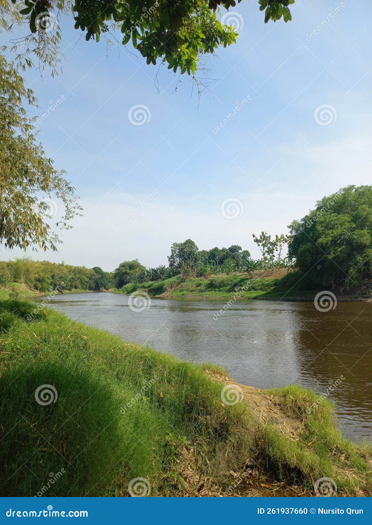 Beautiful Place in My Back Home Bengawan Solo River on the East Java ...