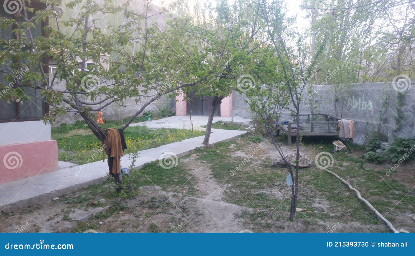 Beautiful place in normal stock photo. Image of garden - 215393730