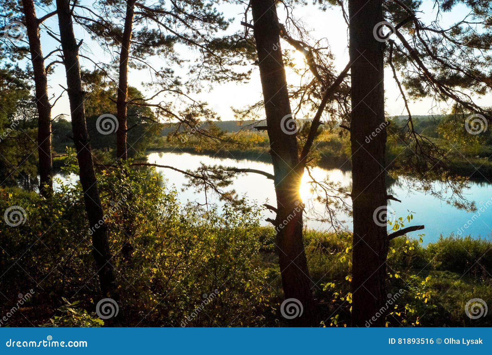 Beautiful Place Planet Sunset River Stock Photo - Image of shadow ...