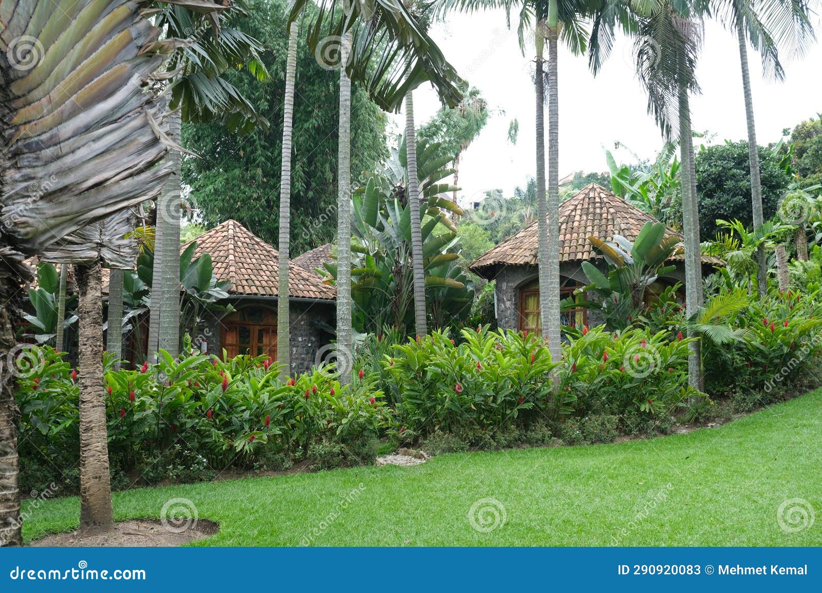 Beautiful Place in Rwanda Kigali Stock Image - Image of closeup ...