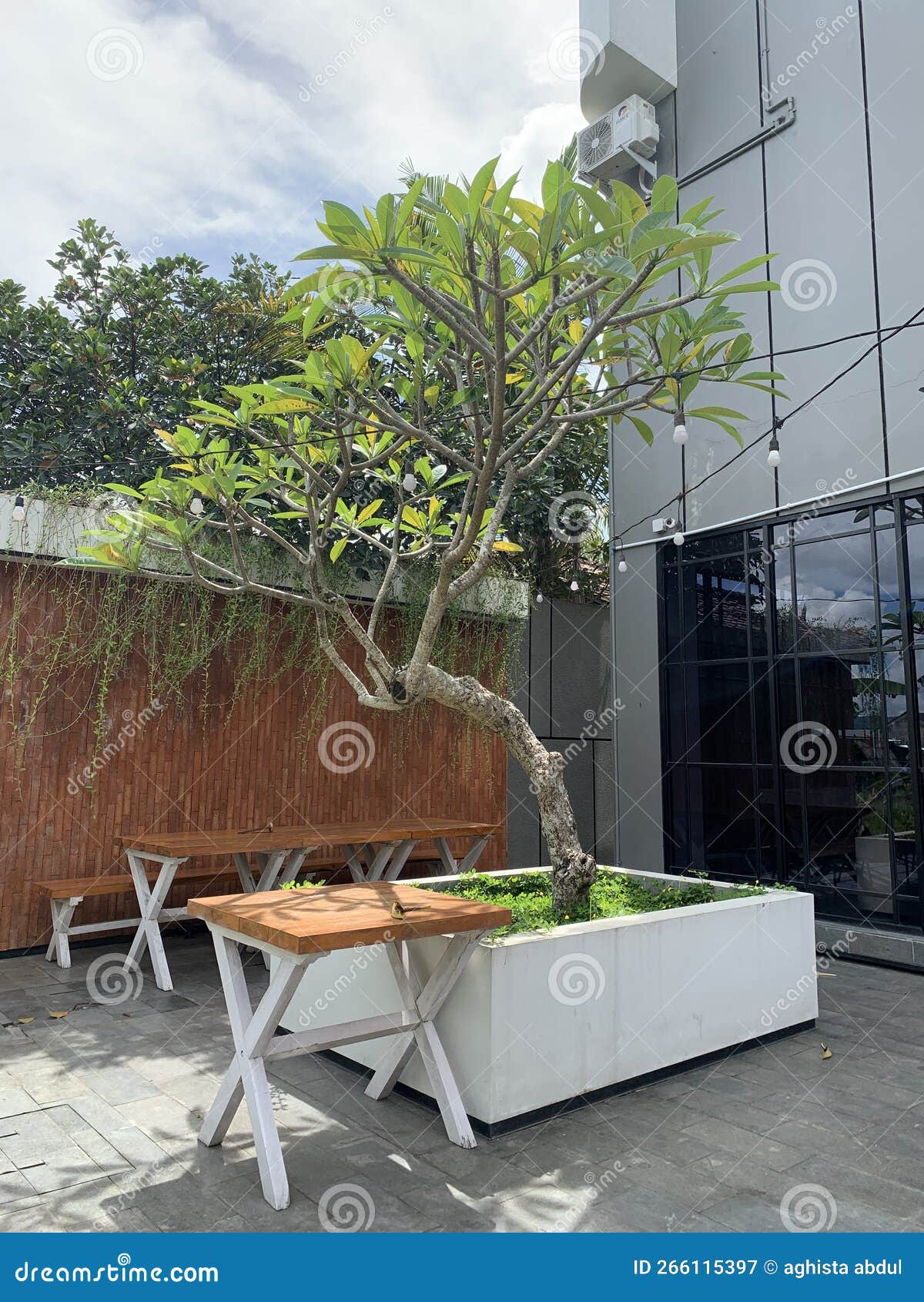 Shady tree stock image. Image of place, shady, relax - 266115397