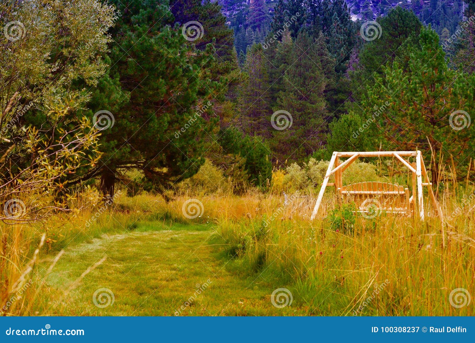 A relaxing scenery stock image. Image of relax, postcard - 100308237