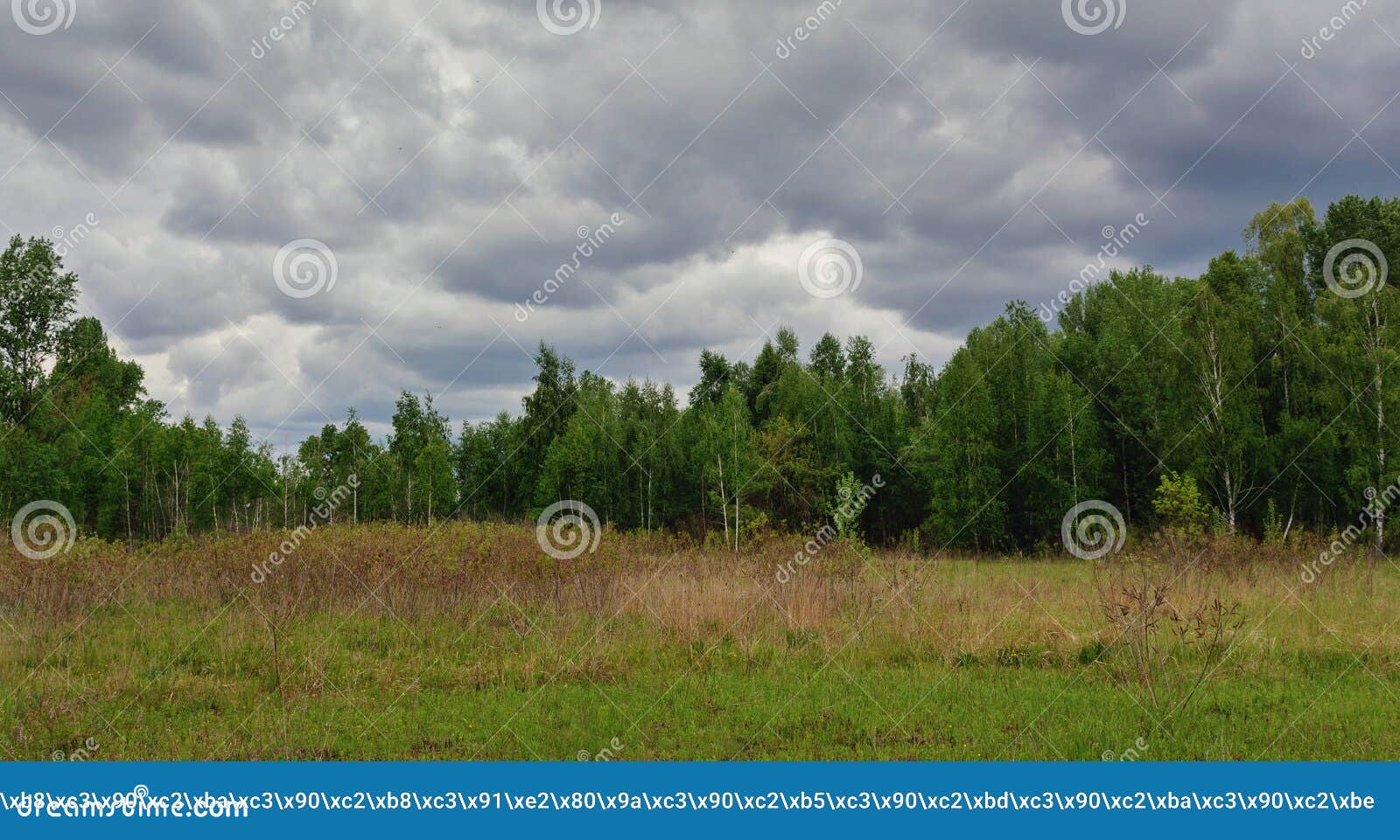 Beautiful Plain Sky Horizon in Field Stock Photo - Image of obvious ...