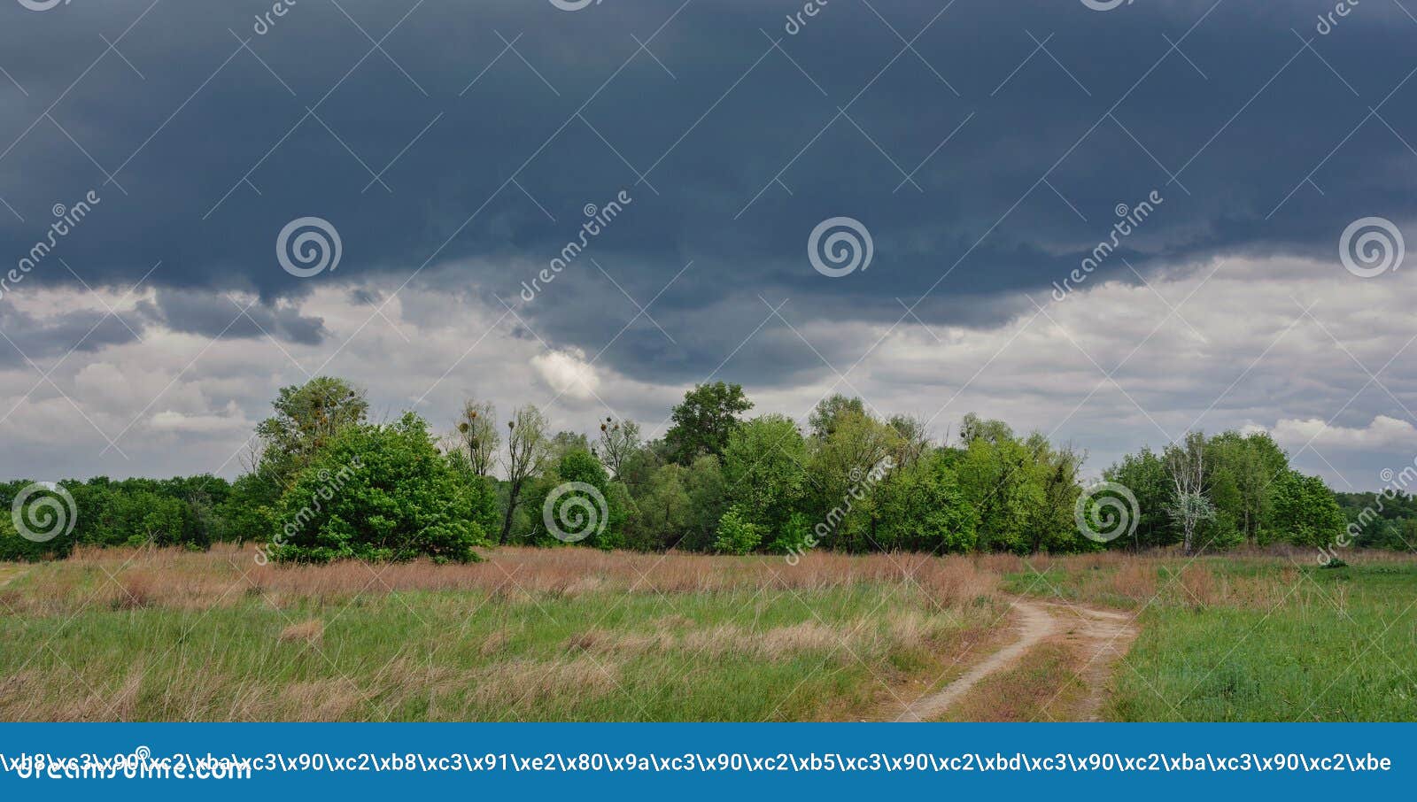 Beautiful Plain Sky Horizon in Field Stock Image - Image of meadow ...