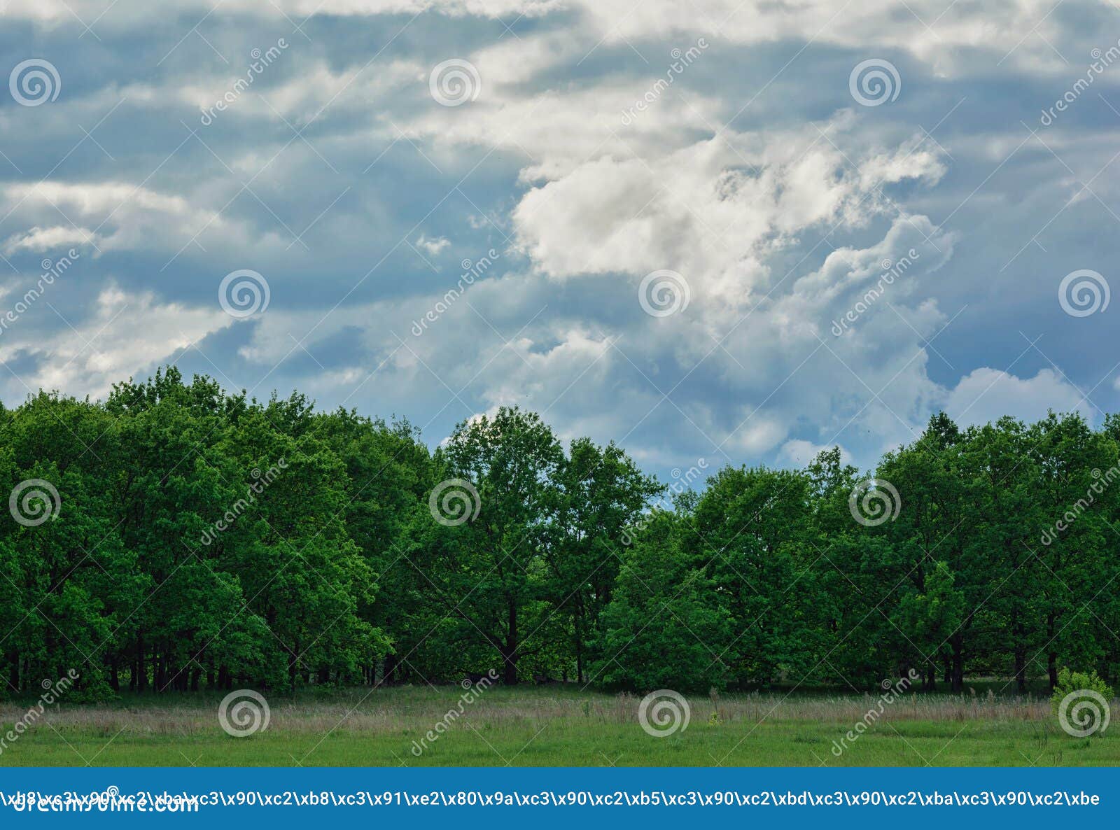 Beautiful Plain Sky Horizon in Field Stock Image - Image of rural ...