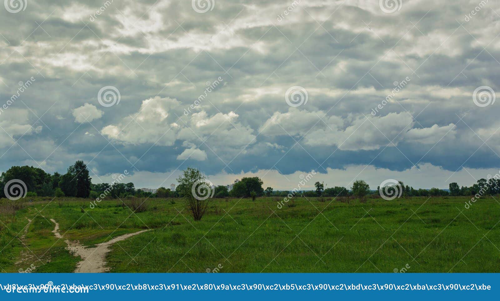Beautiful Plain Sky Horizon in Field Stock Image - Image of outlook ...