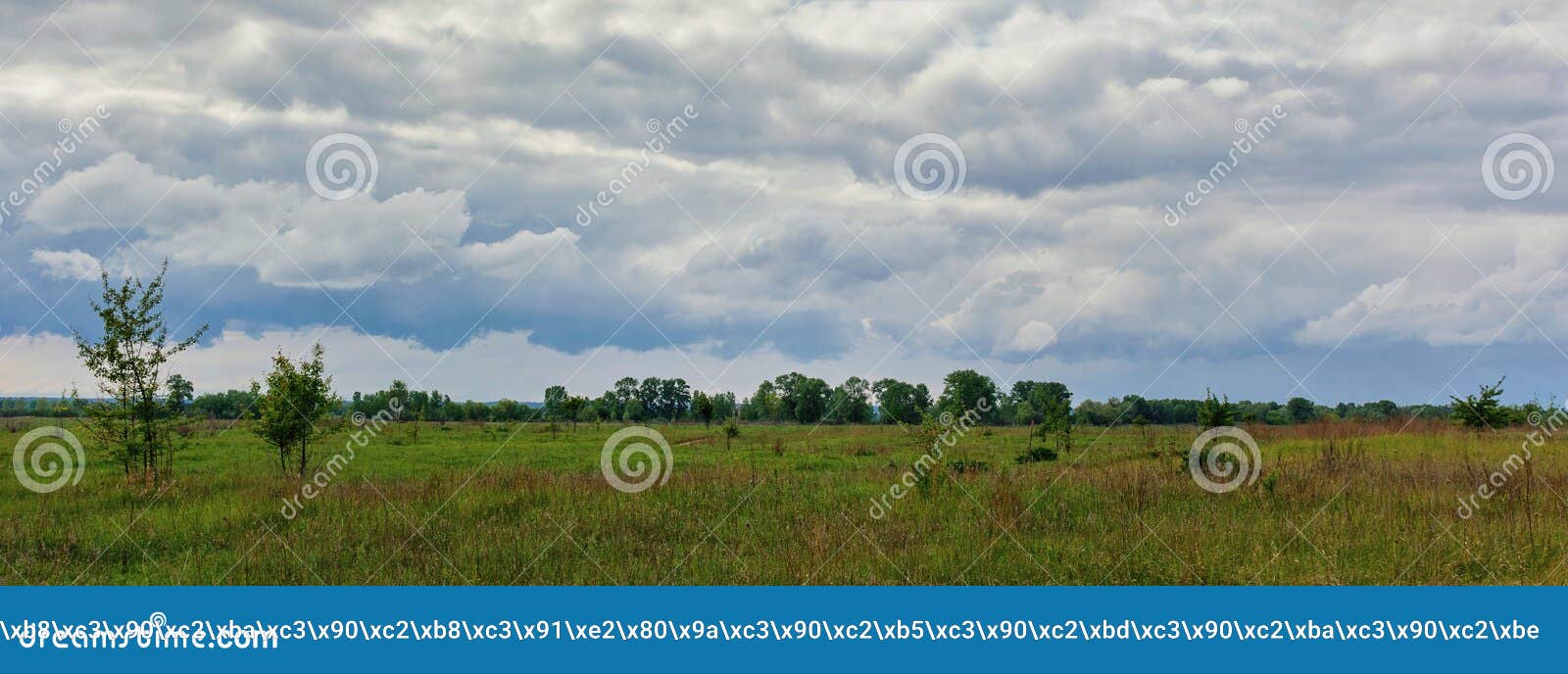 Beautiful Plain Sky Horizon in Field Stock Photo - Image of country ...