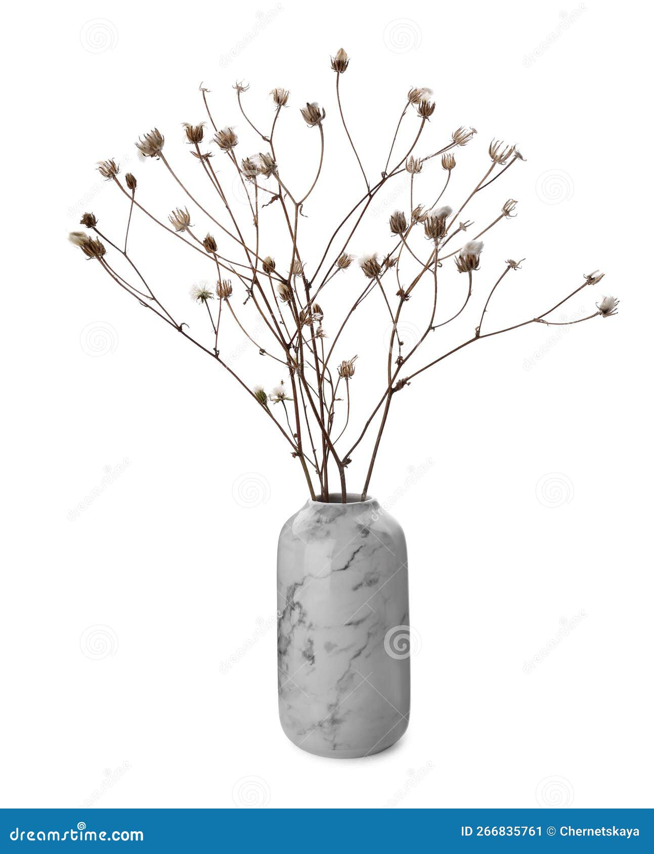 Beautiful Plant in Ceramic Vase on White Background Stock Image - Image ...