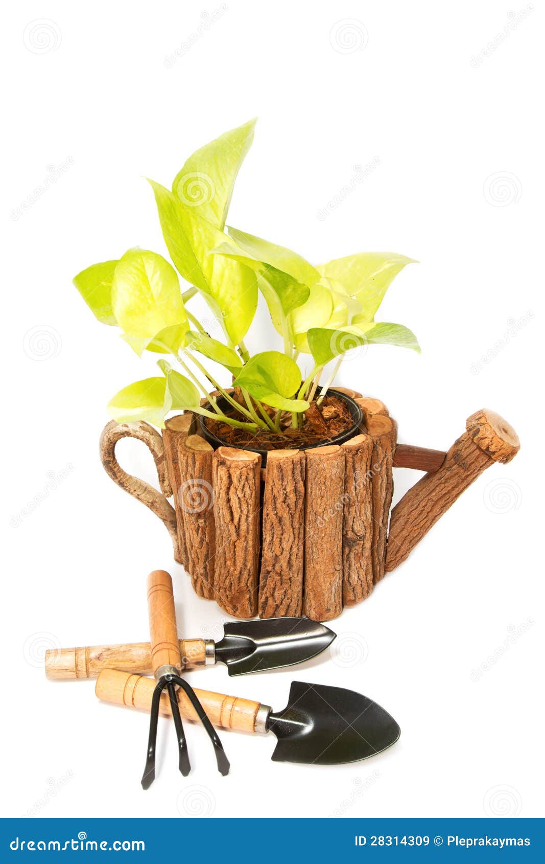Beautiful Plant in a Flowerpot and Garden Tools Stock Image - Image of ...