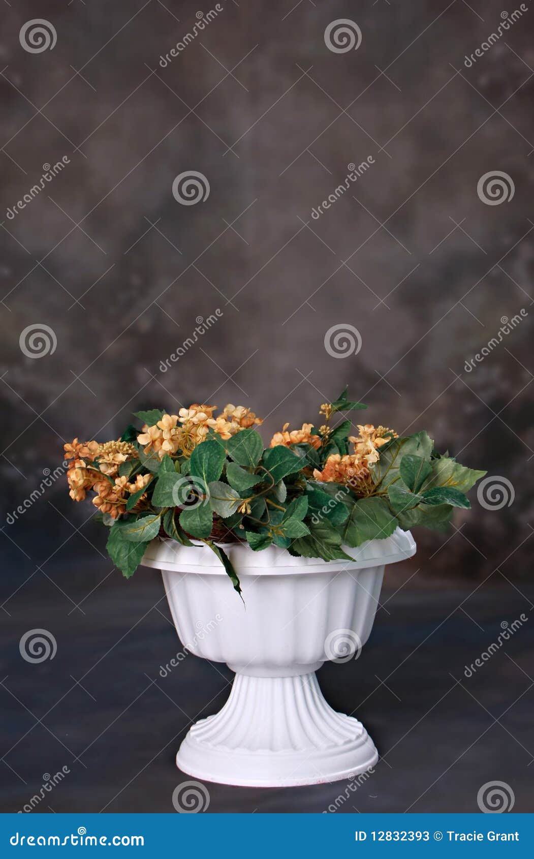 Beautiful Planter with Flowers Digital Prop Stock Image - Image of ...