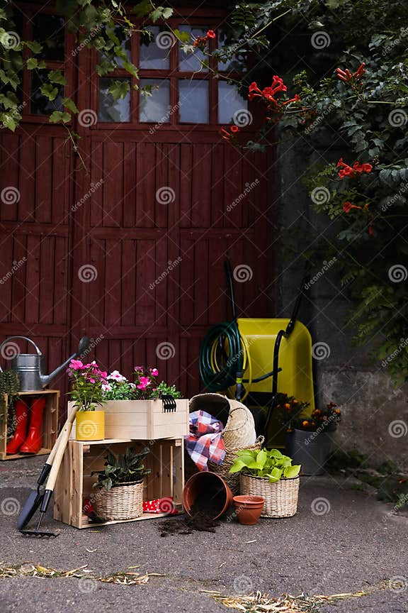 Beautiful Plants and Different Gardening Tools Stock Image - Image of ...
