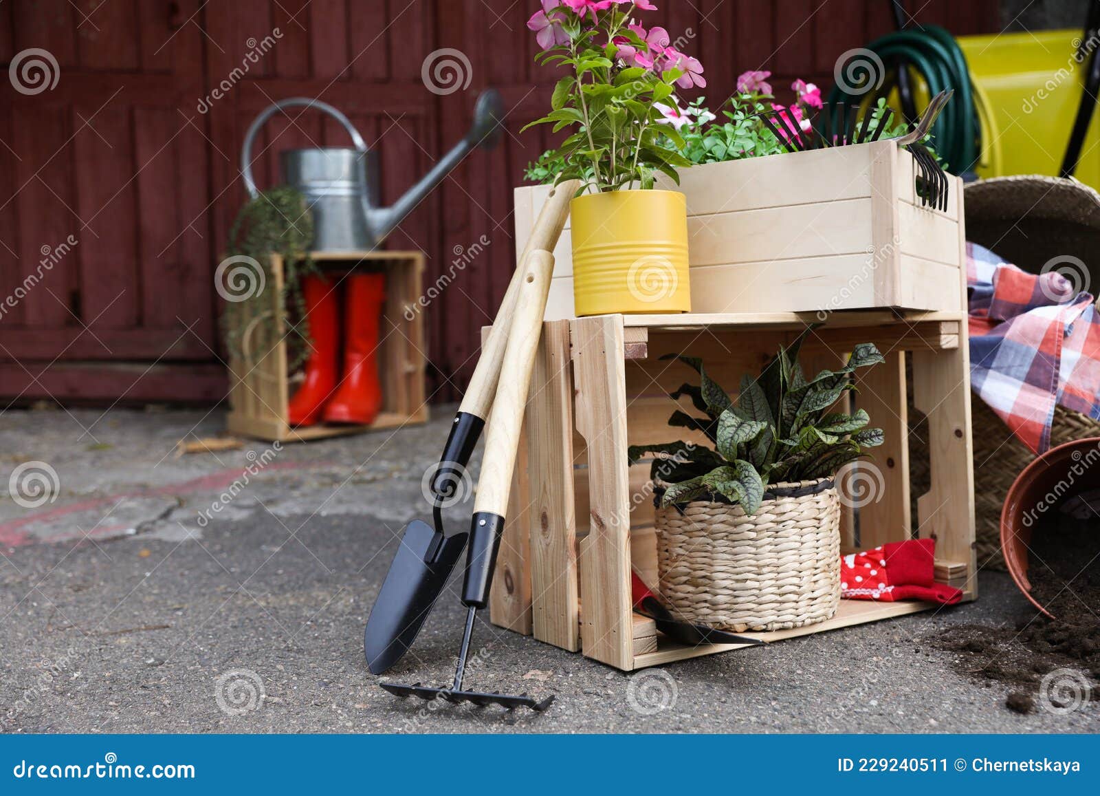 Beautiful Plants and Different Gardening Tools Outdoors Stock Image ...