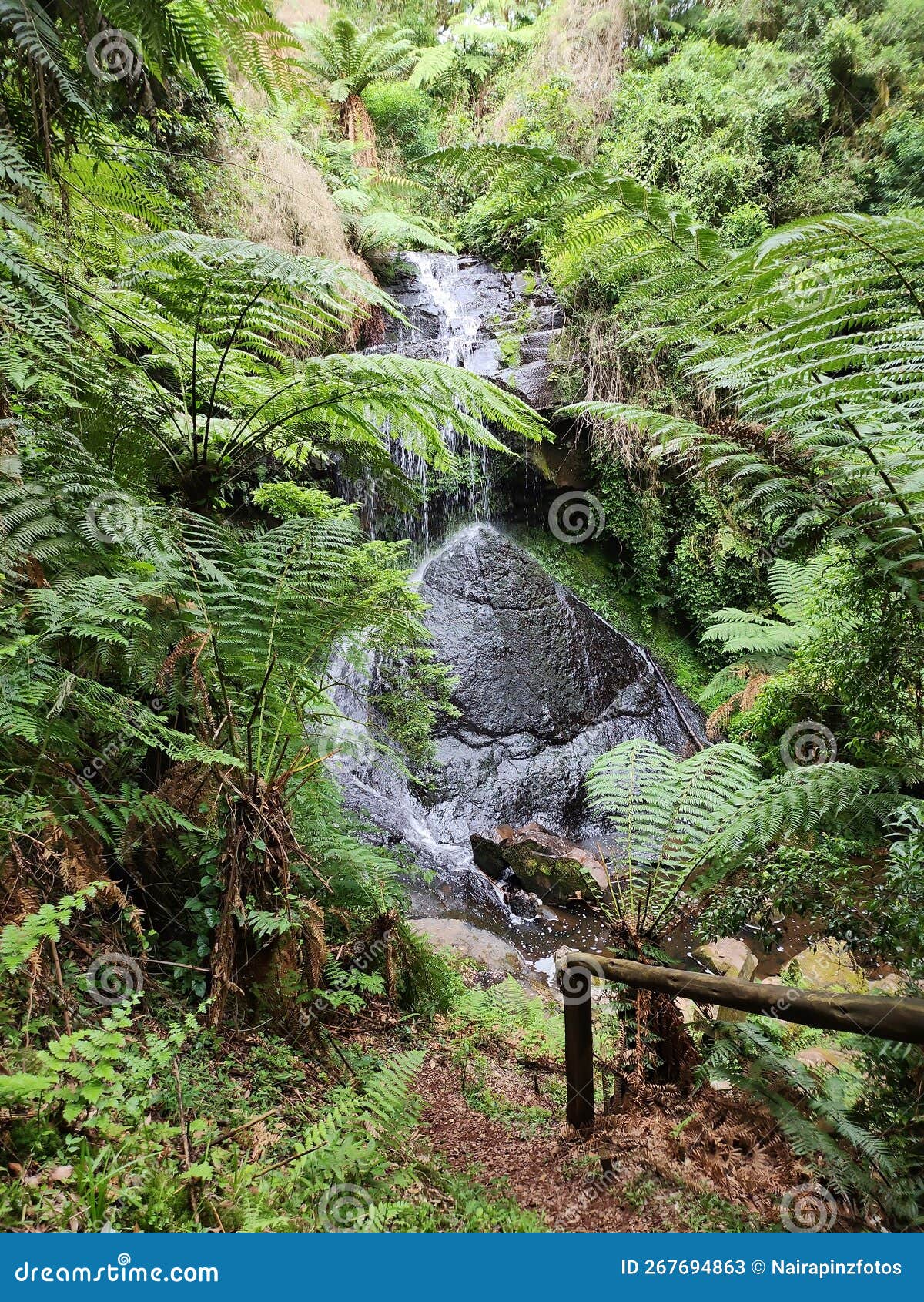 Beautiful and Pleasant Waterfall in Triangular Shape with Ferns and ...