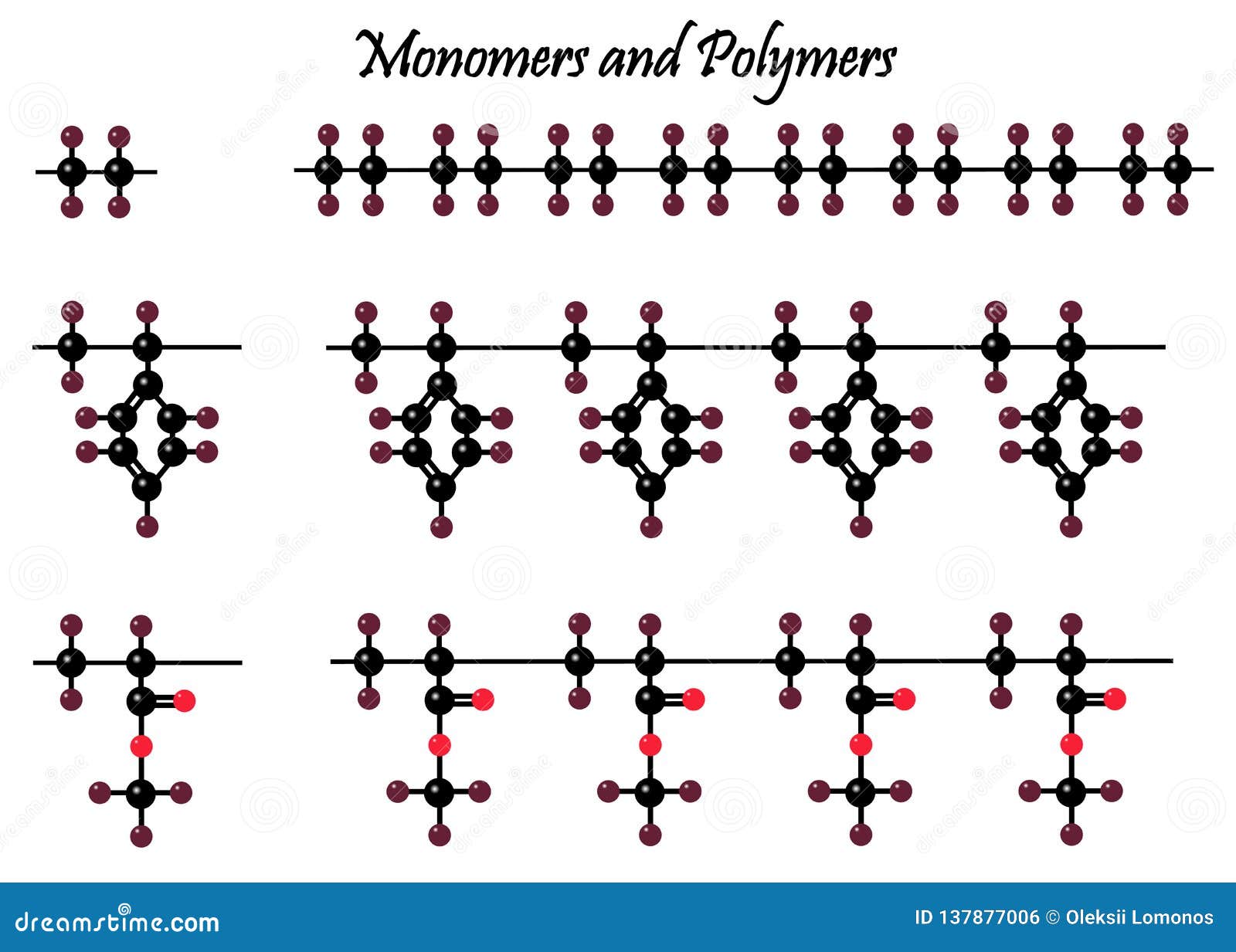Beautiful Polymer Molecules and Their Lattices Stock Vector ...