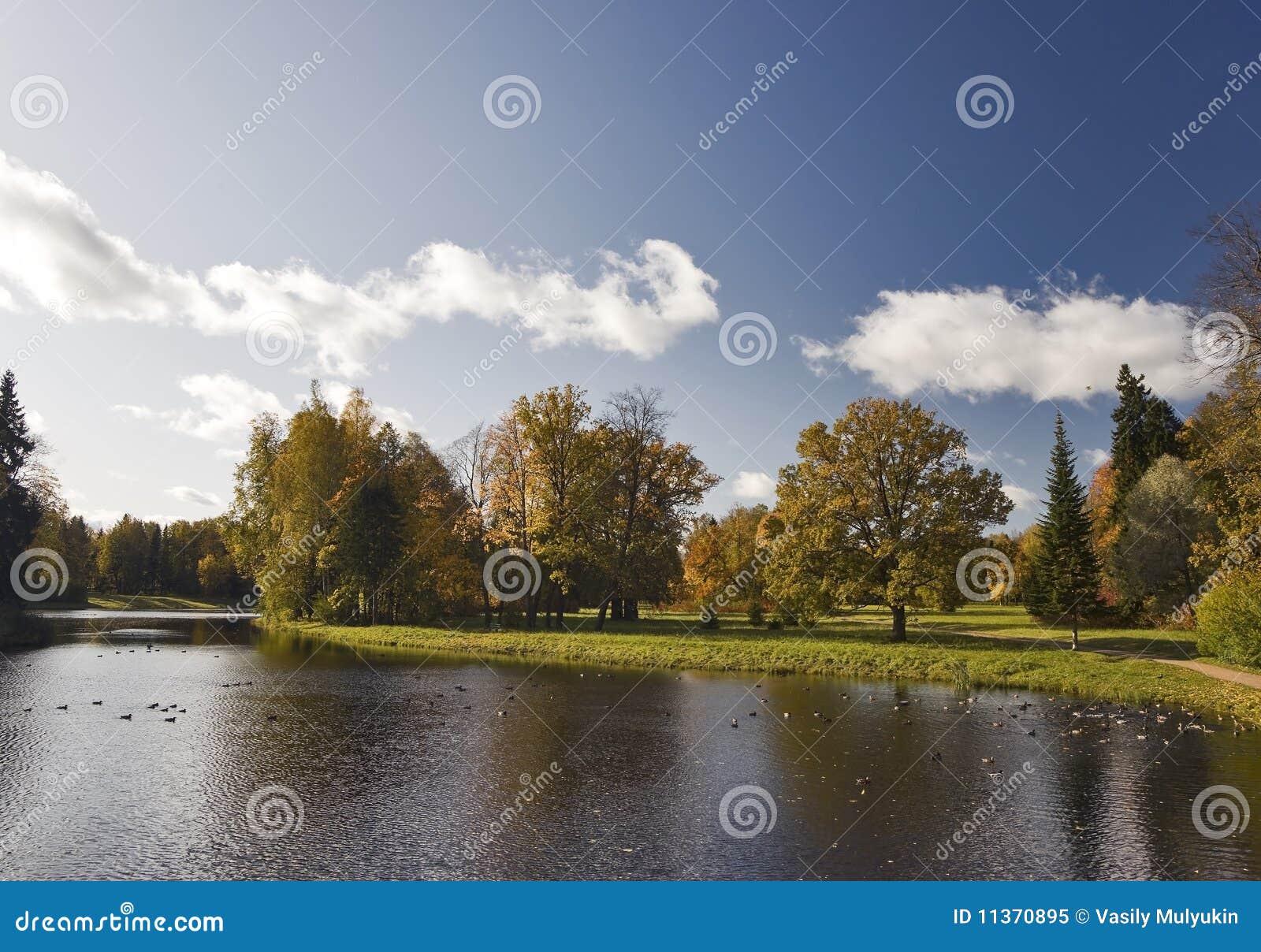 Beautiful pond stock image. Image of ducks, beautiful - 11370895