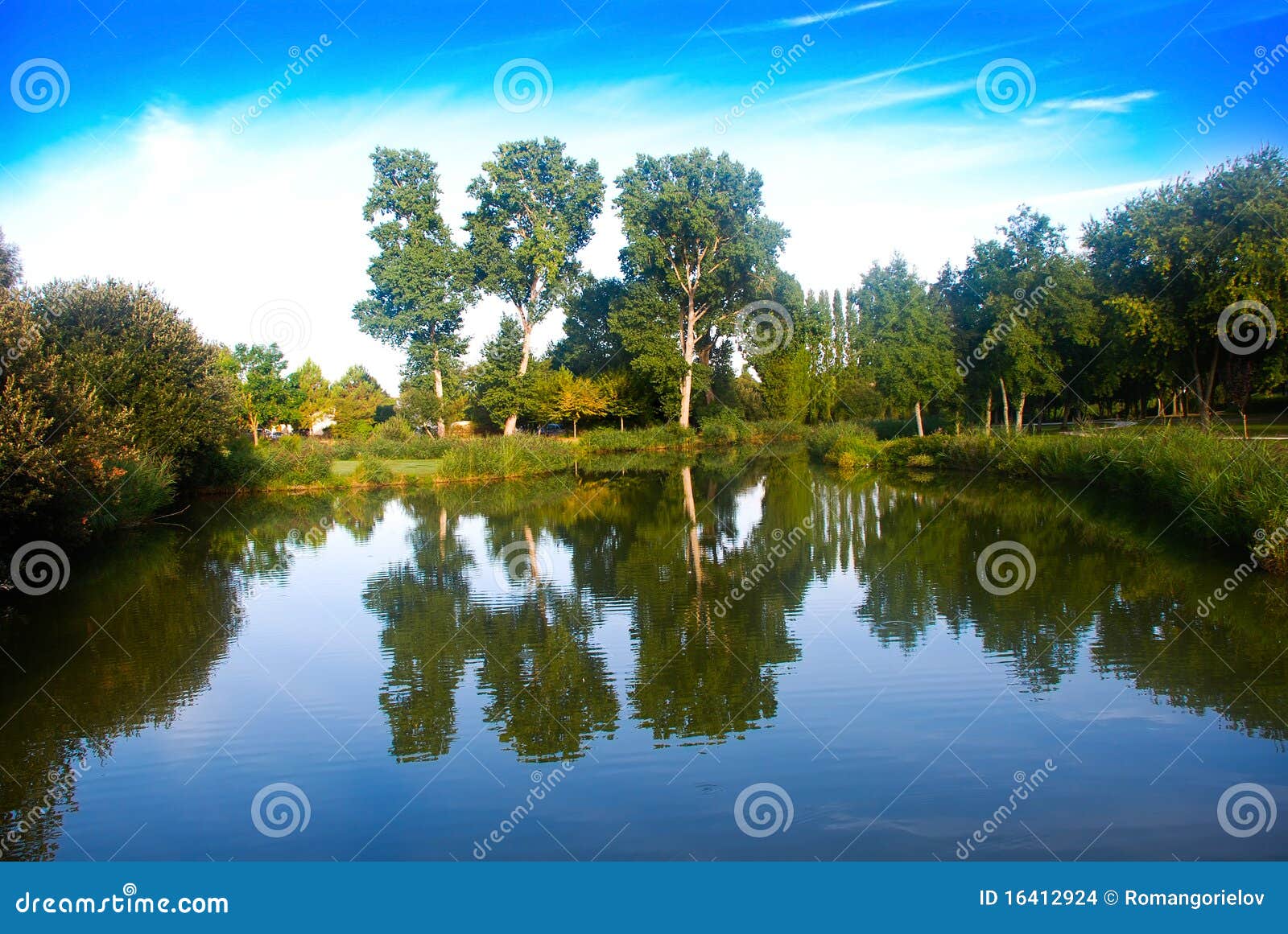 Beautiful pond stock photo. Image of park, morning, landscape - 16412924