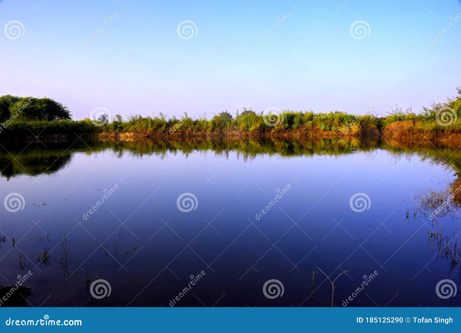 Beautiful Pond and Blue Sky with Greenery, Morning View Stock Photo ...