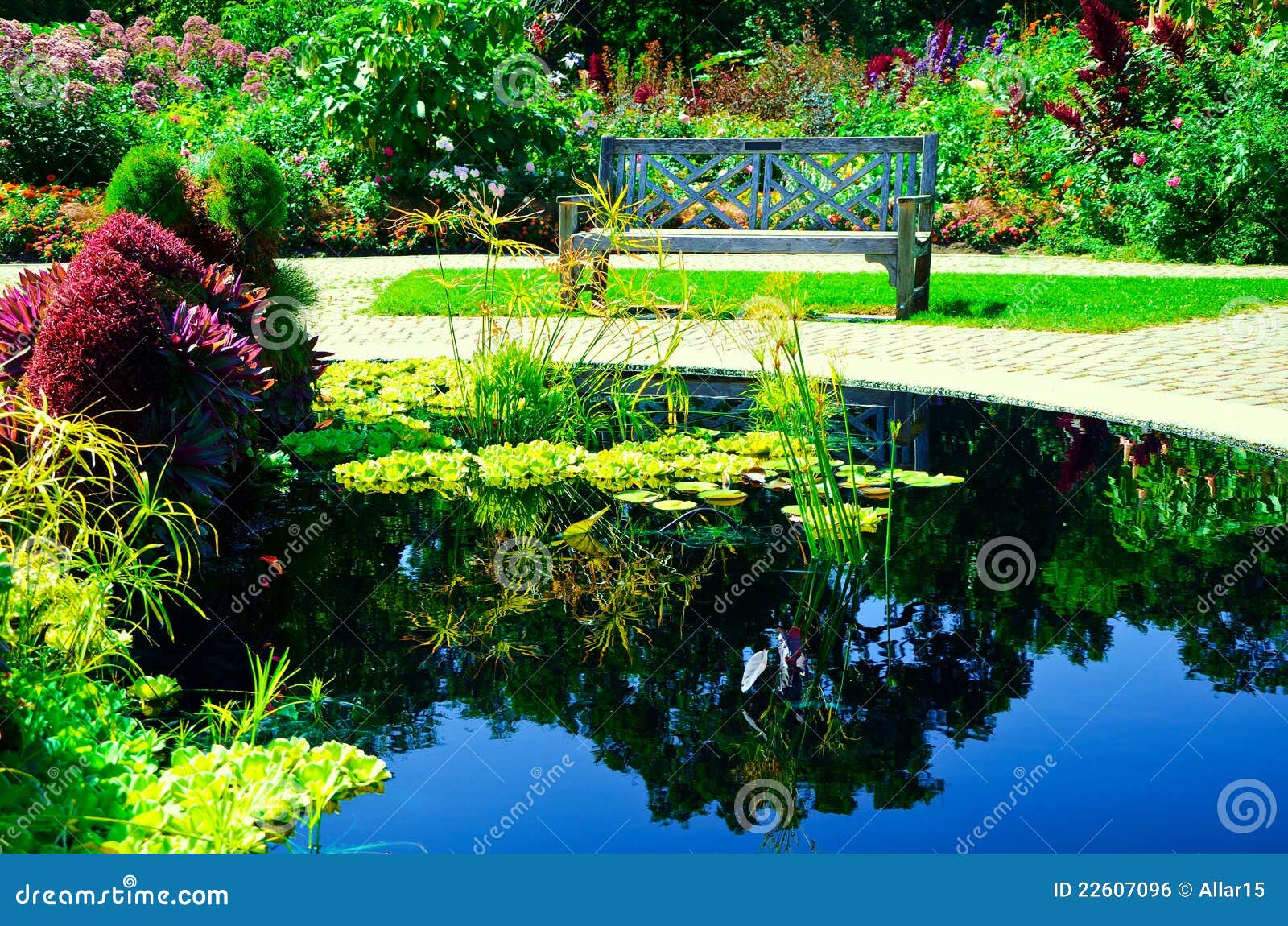 Beautiful pond in the park stock photo. Image of bush - 22607096