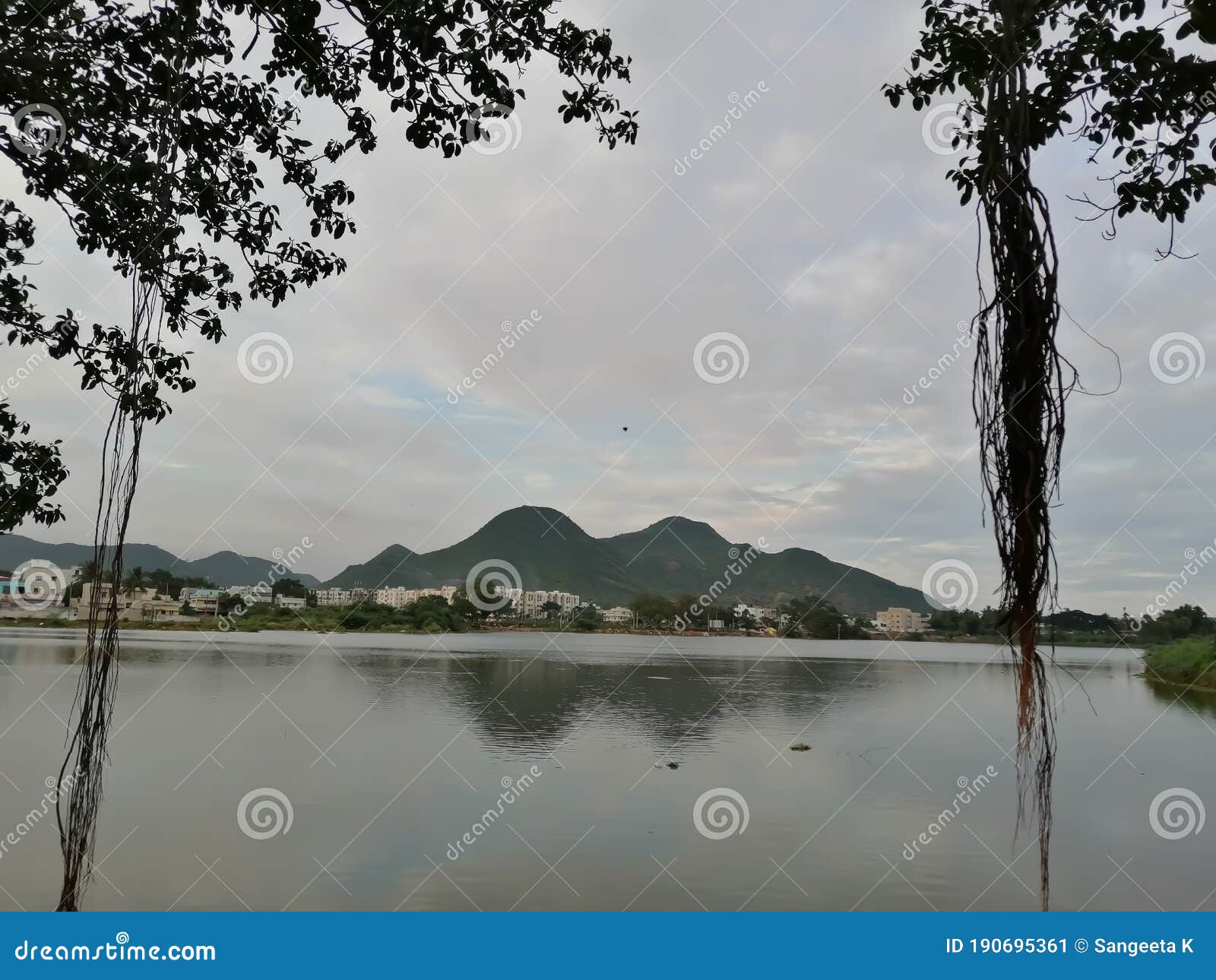 A Beautiful Pond with Shadow of Banyan Tree Roots Stock Image - Image ...
