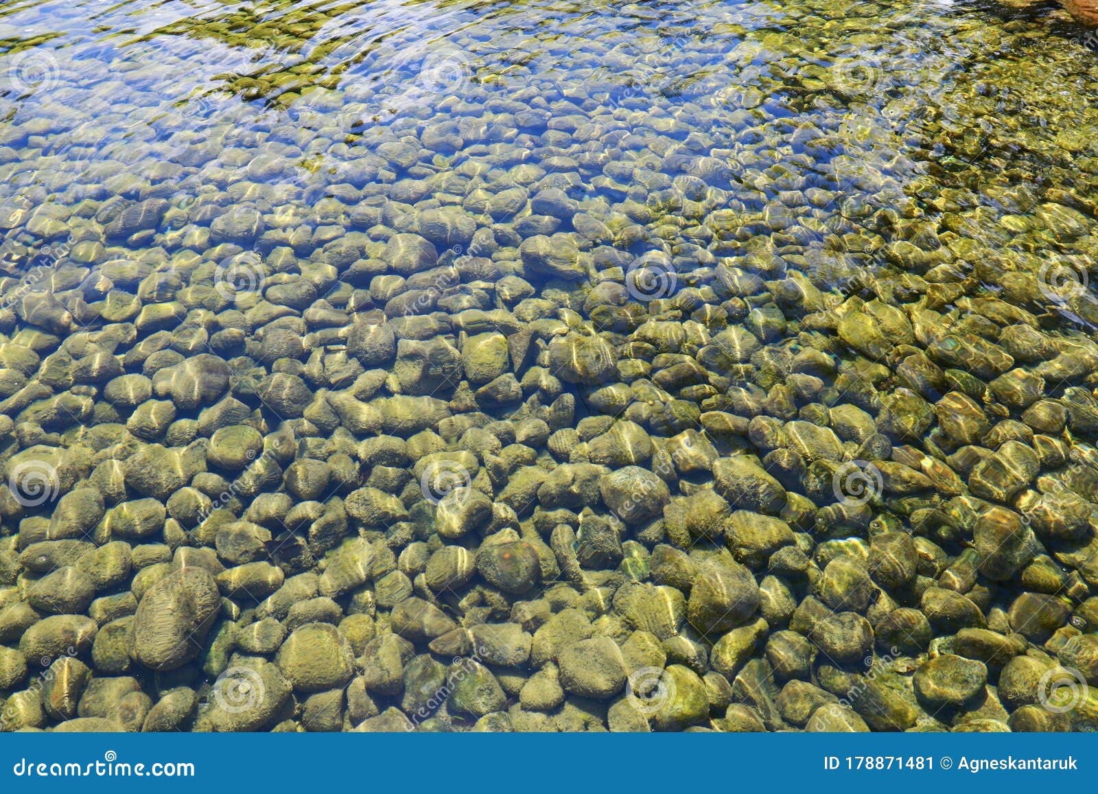 Beautiful Pond with Stones and Plants Stock Image - Image of lake ...