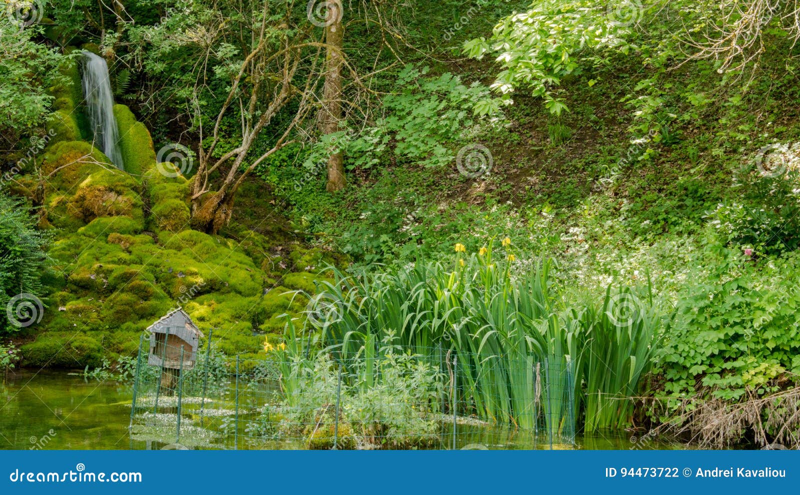 Beautiful Pond Waterfall Greenery Stock Photos - Download 359 Royalty ...