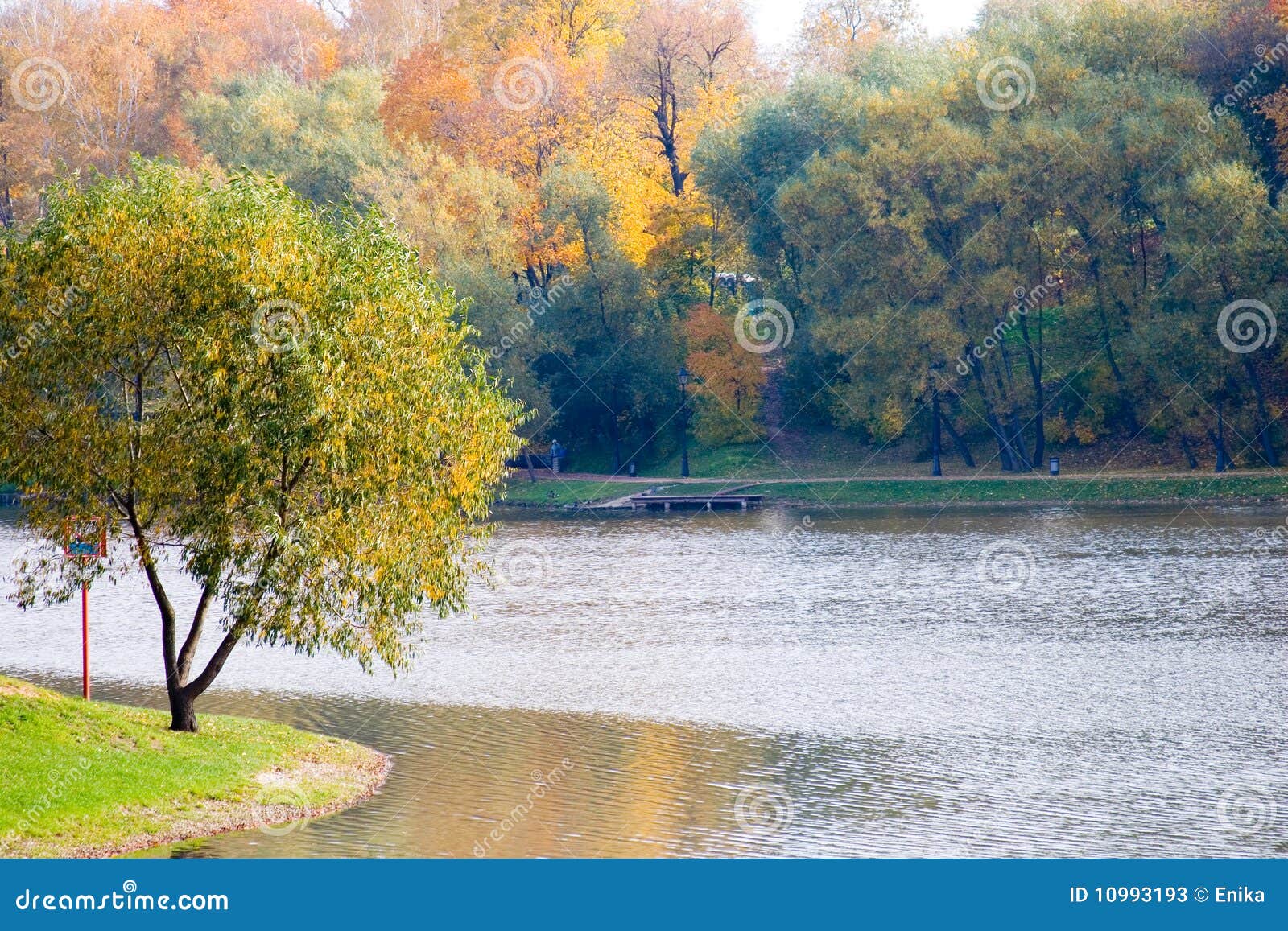 Beautiful Pond and Yellow Trees. Stock Image - Image of footstep ...