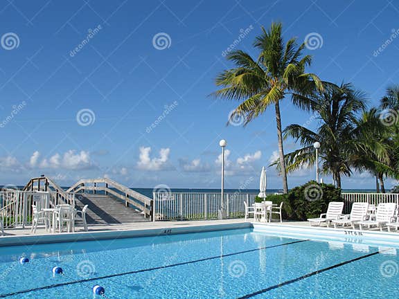 Beautiful Pool by the Beach Stock Image - Image of purity, jamaica: 416143