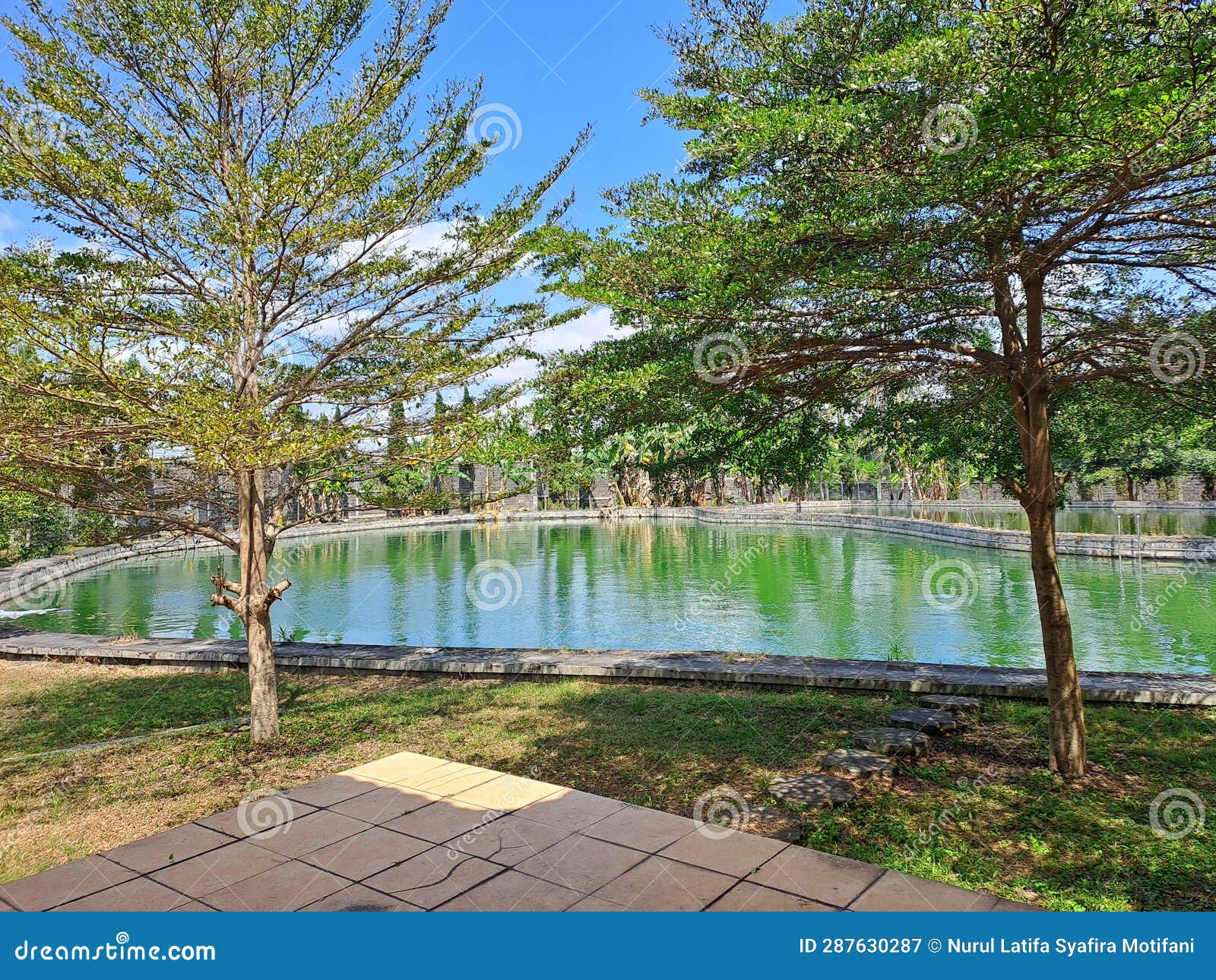 Beautiful Pool and Trees in Summer Season Stock Image - Image of gazebo ...