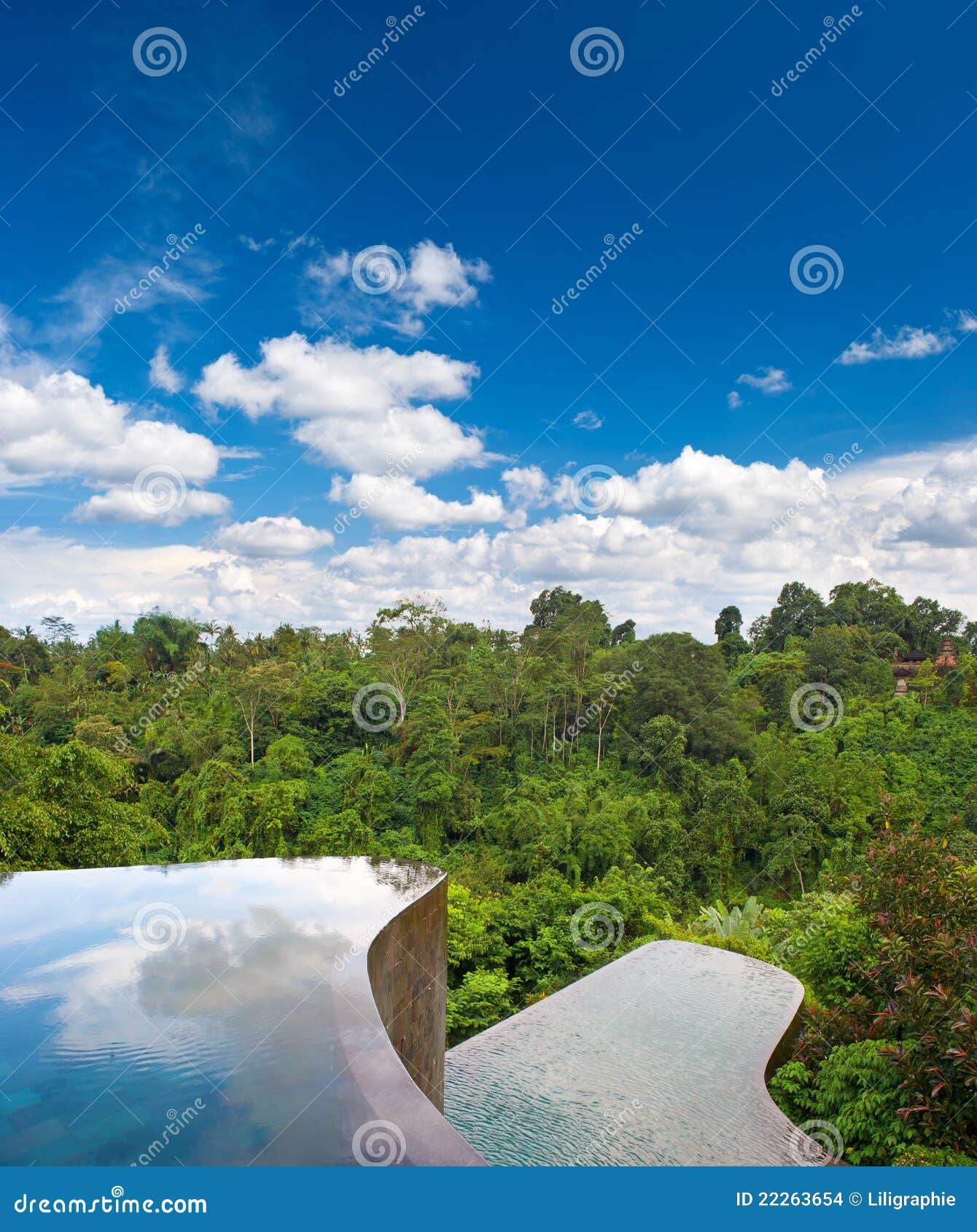 Beautiful Pool in the Tropical Rain Forest Stock Photo - Image of ...