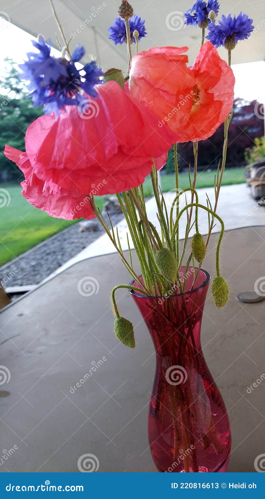 Beautiful poppies in vase stock image. Image of yellow - 220816613