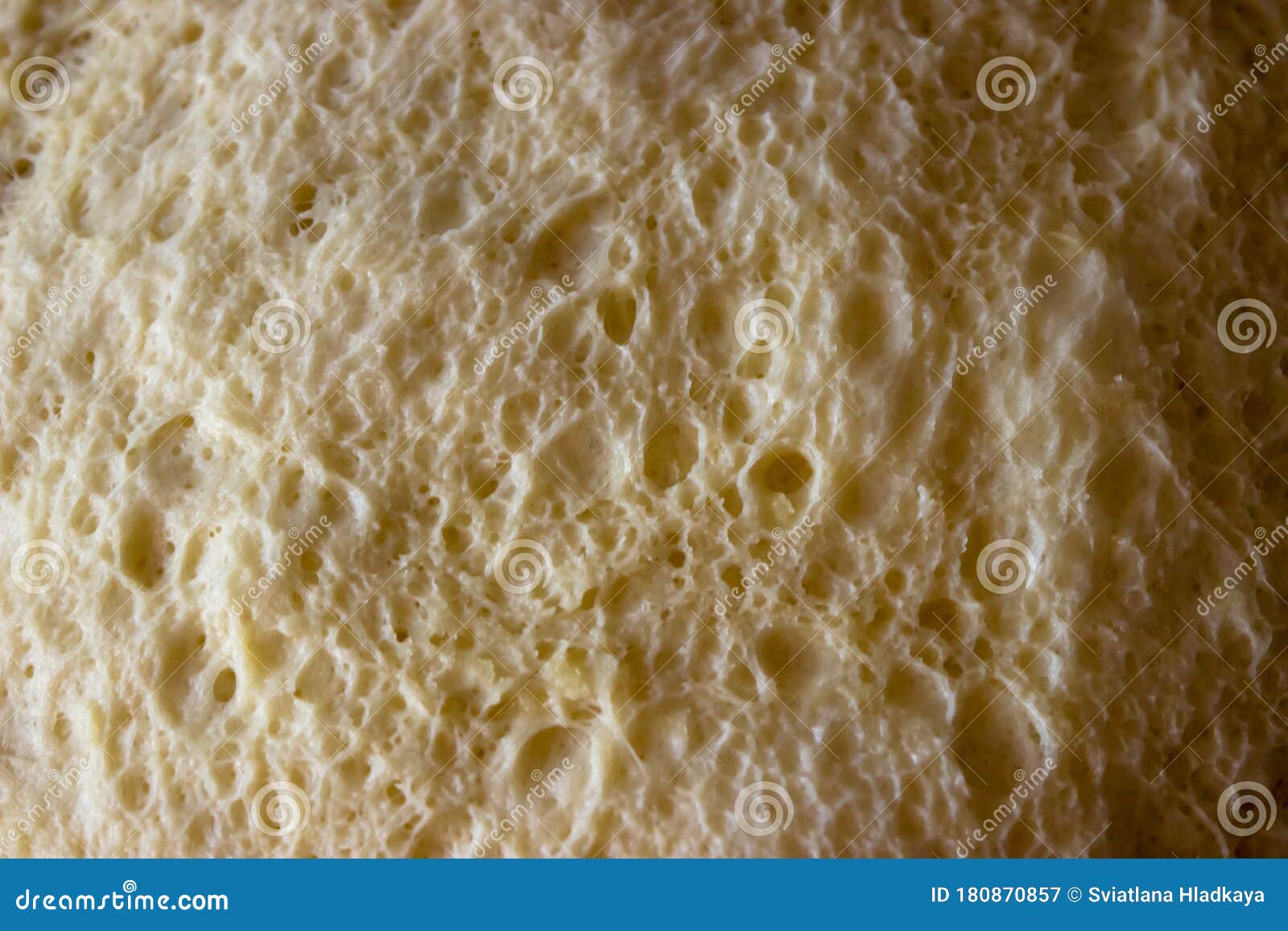Beautiful Porous Structure of the Approached Yeast Dough. Stock Image ...