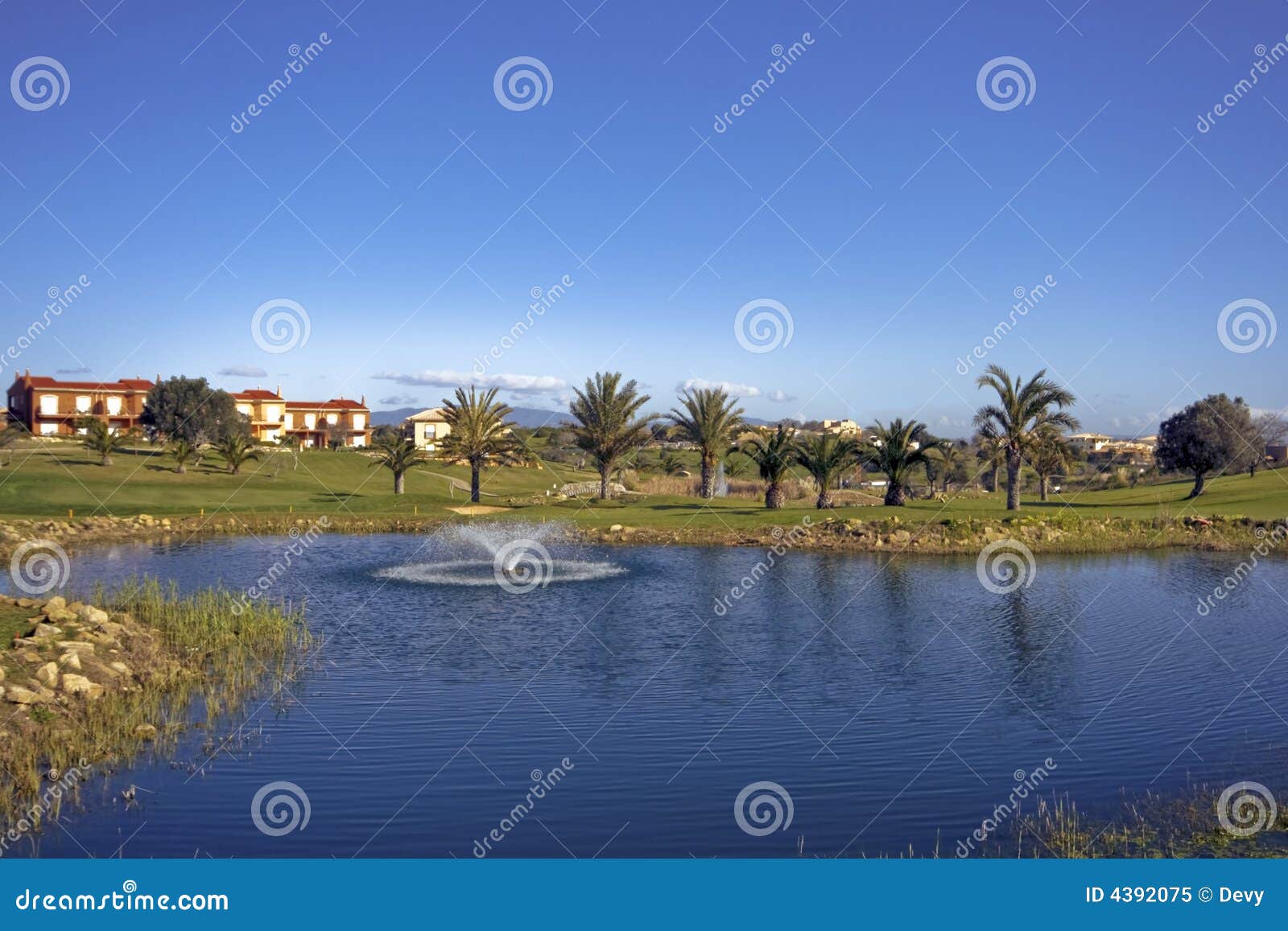 Beautiful Portuguese Landscape Stock Image - Image of tree, landscape ...