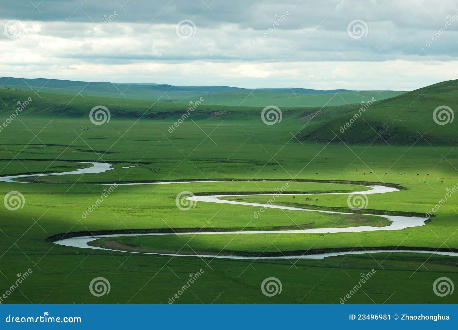 Beautiful prairie stock image. Image of tourism, pasture - 23496981
