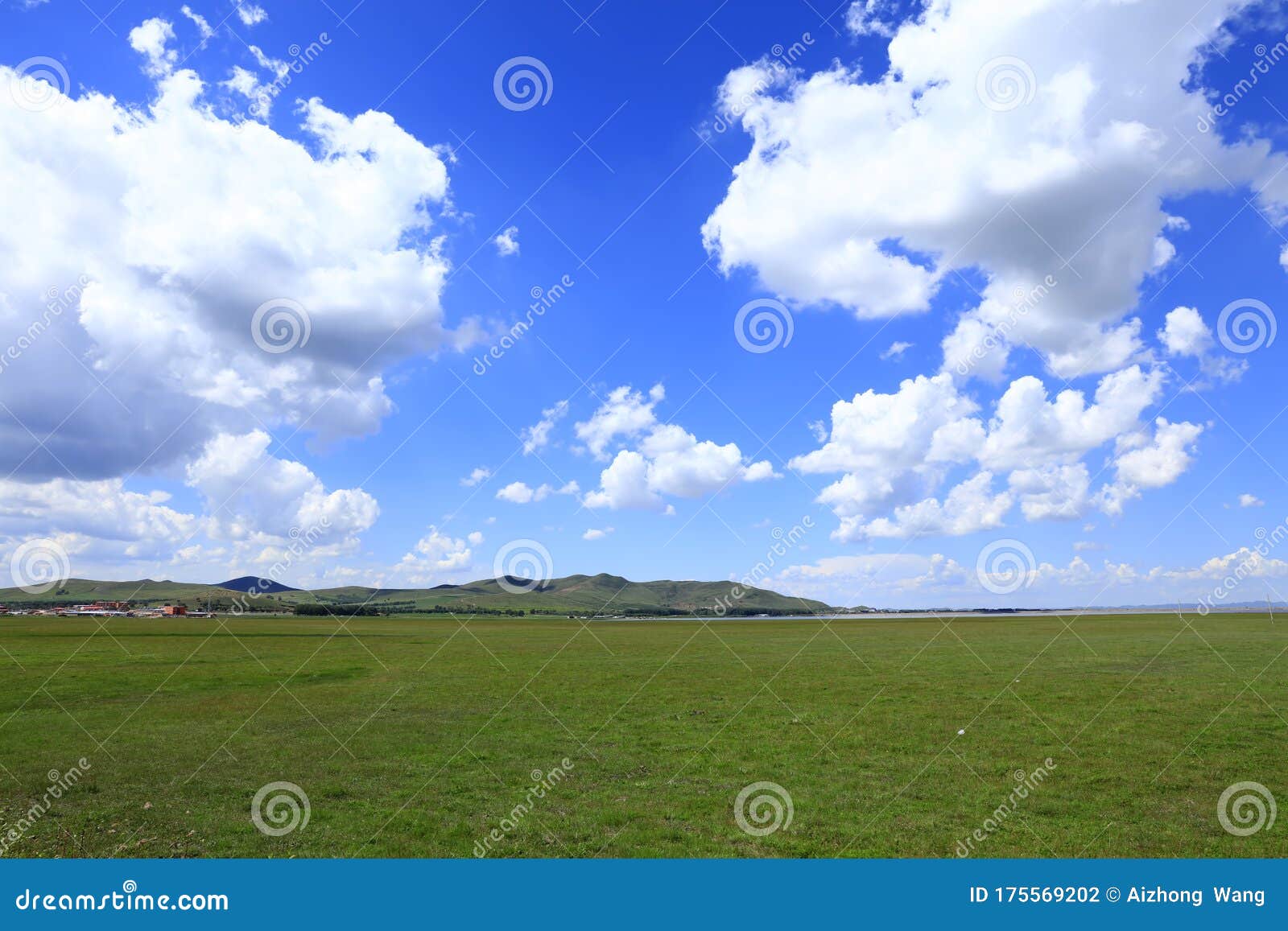 The beauty of the prairie stock photo. Image of idyllic - 175569202