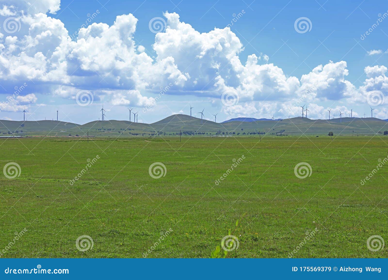 The beauty of the prairie stock image. Image of field - 175569379