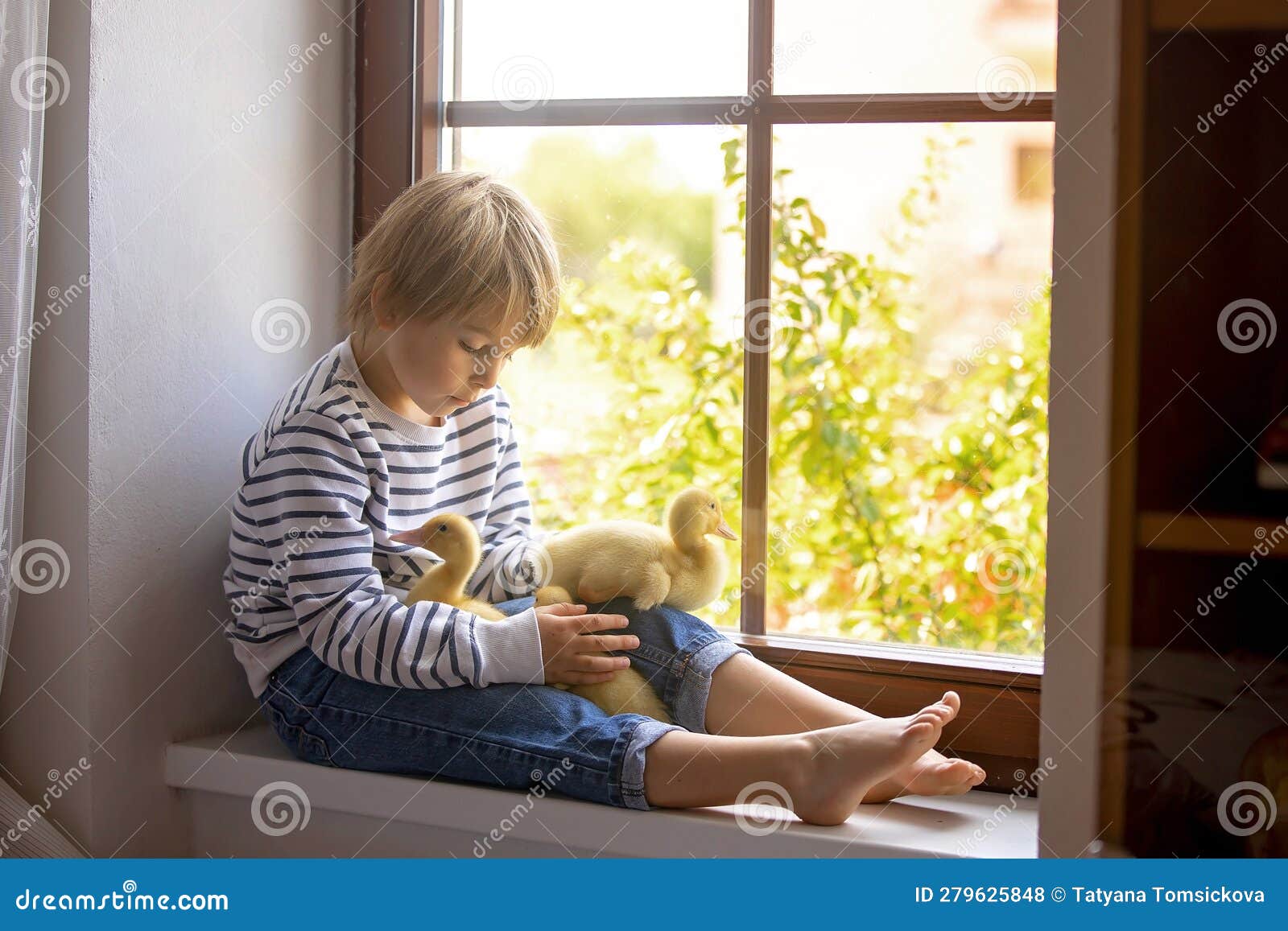 Beautiful Preschool Boy, Playing with Little Ducks on the Window at ...
