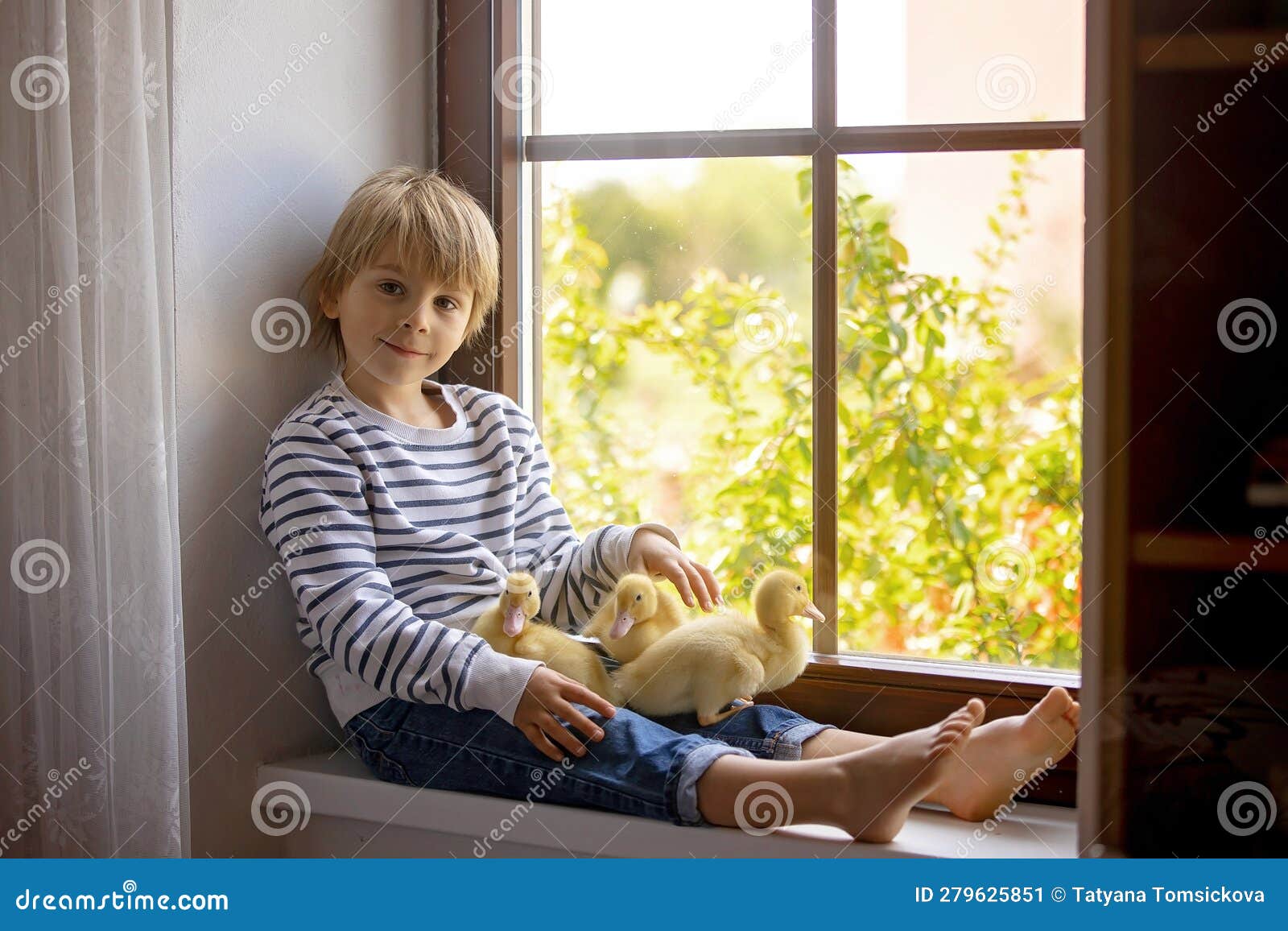 Beautiful Preschool Boy, Playing with Little Ducks on the Window at ...
