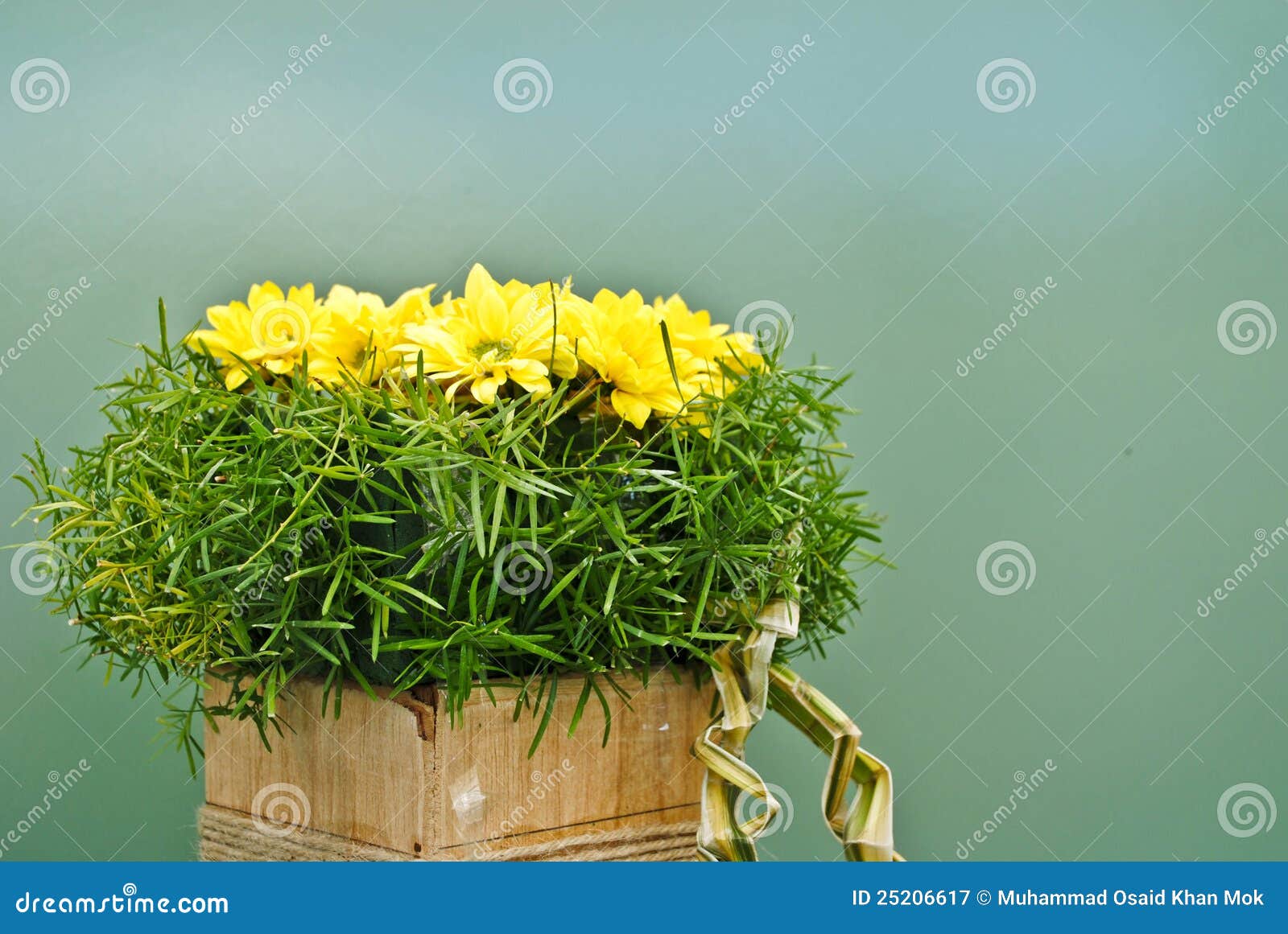 Beautiful Presentation of Flowers. Stock Image - Image of floral, bunch ...