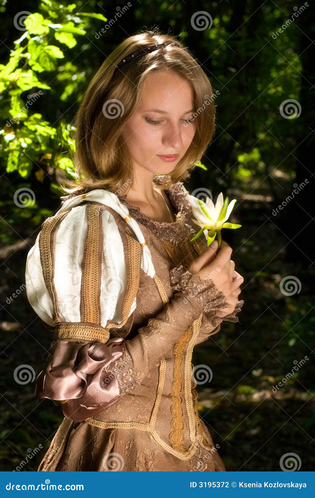 Beautiful pricesse stock photo. Image of beauty, color - 3195372