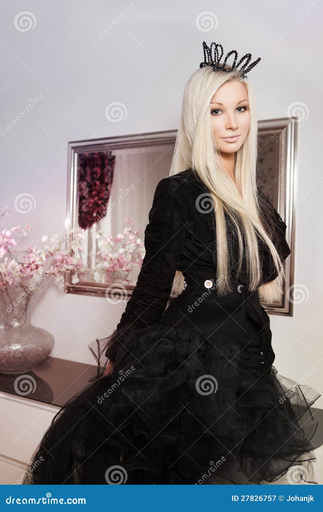 Beautiful princess stock image. Image of human, cute - 27826757