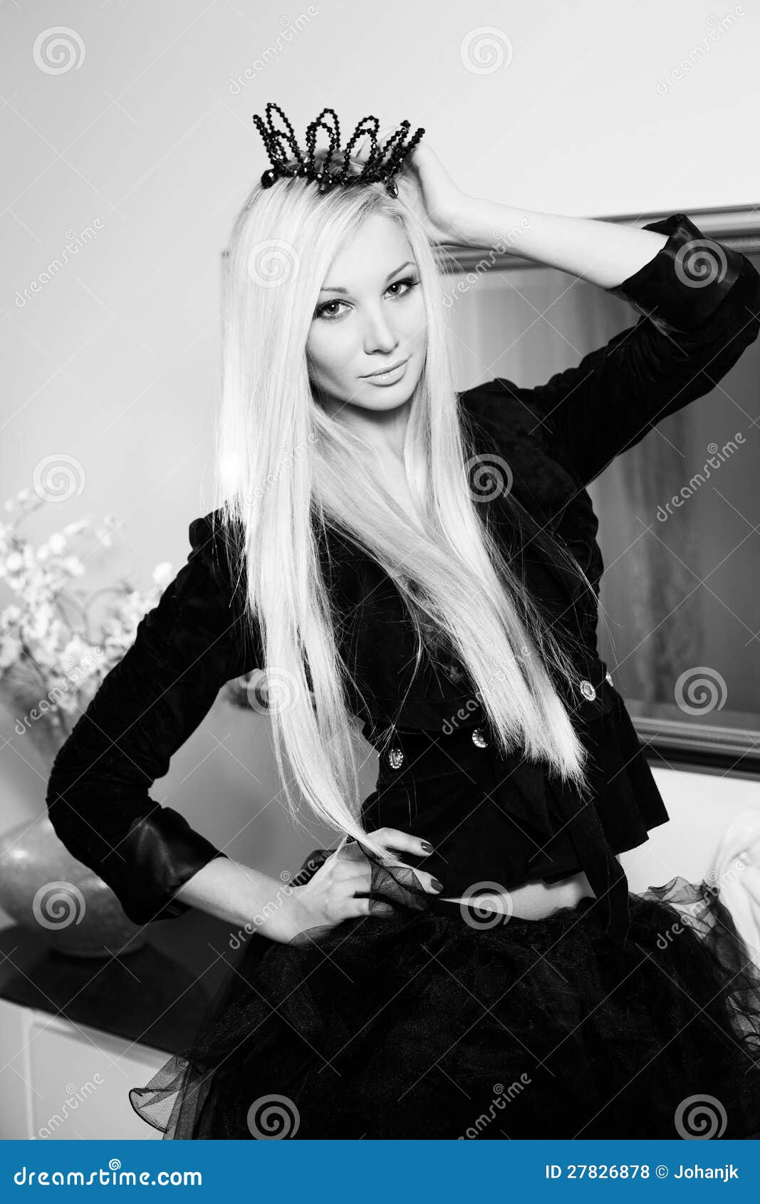 Beautiful princess stock photo. Image of happy, black - 27826878