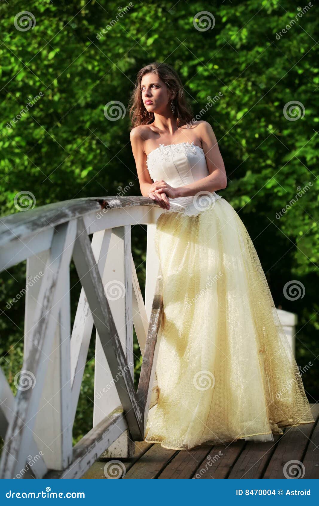 Beautiful princess stock photo. Image of haired, feeling - 8470004