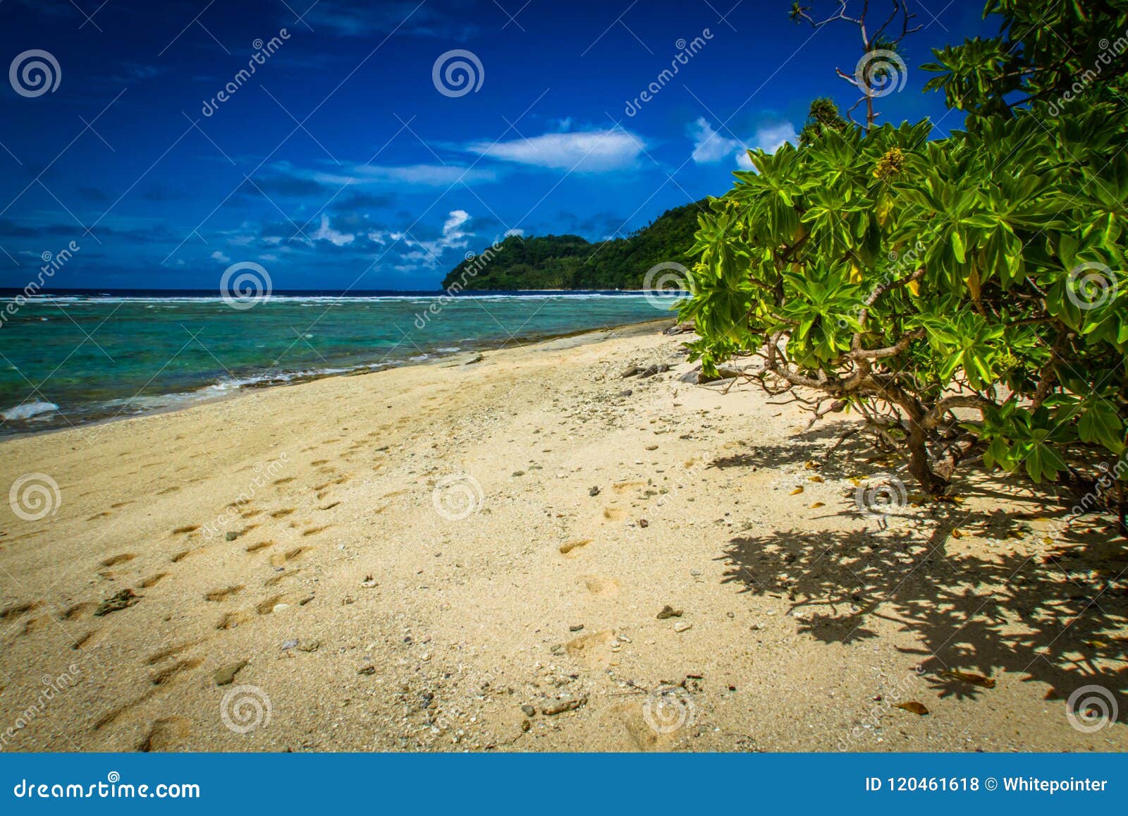A Beautiful and Pristine Beach Stock Photo - Image of destination ...