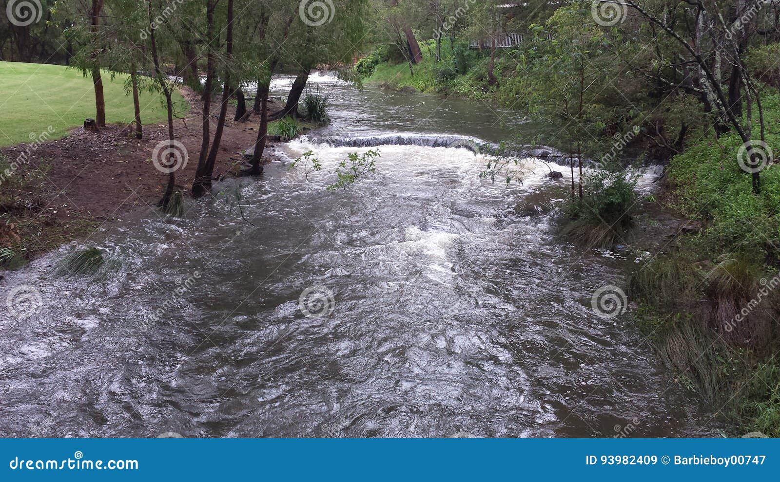Beautiful Pristine Running River Stock Image - Image of tranquil ...