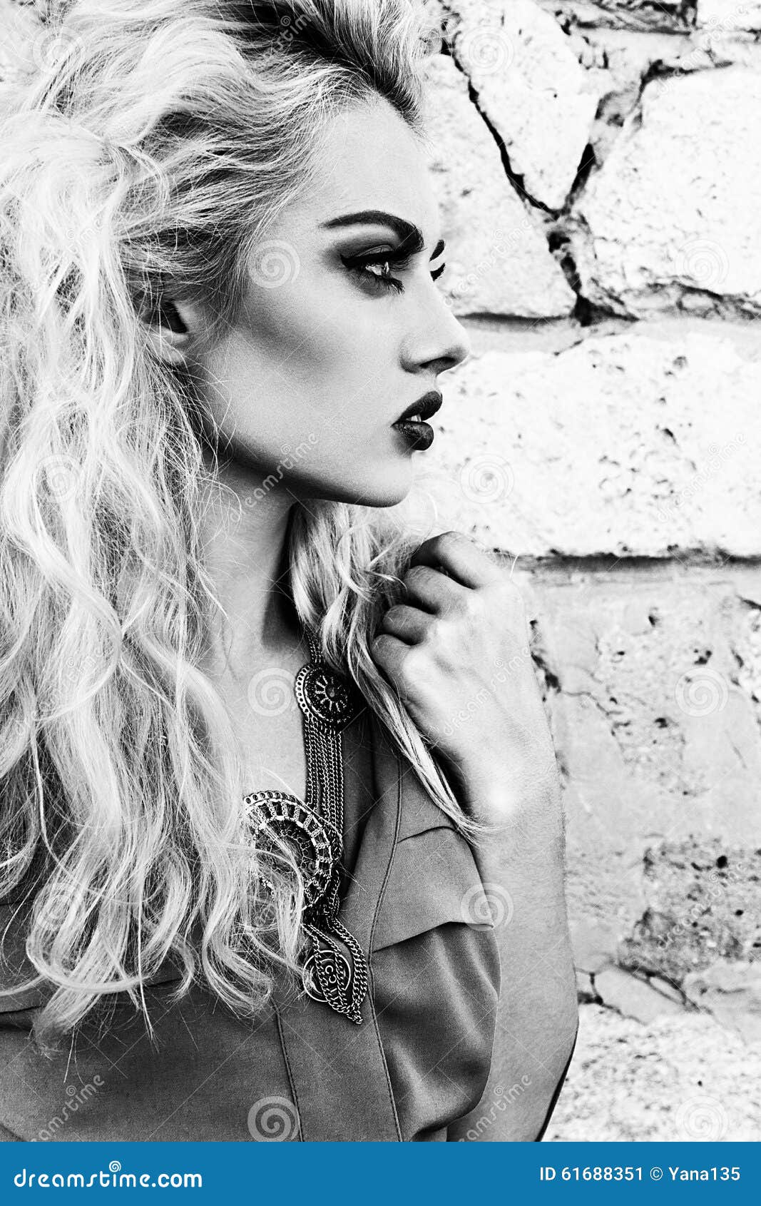 Beautiful Profile Face of a Young Woman Stock Image - Image of drama ...