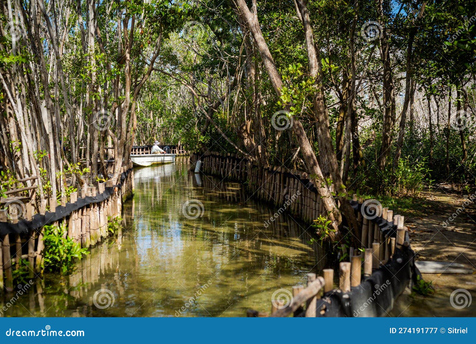 Beautiful Progreso Beach in Mexico Stock Image - Image of park, estuary ...