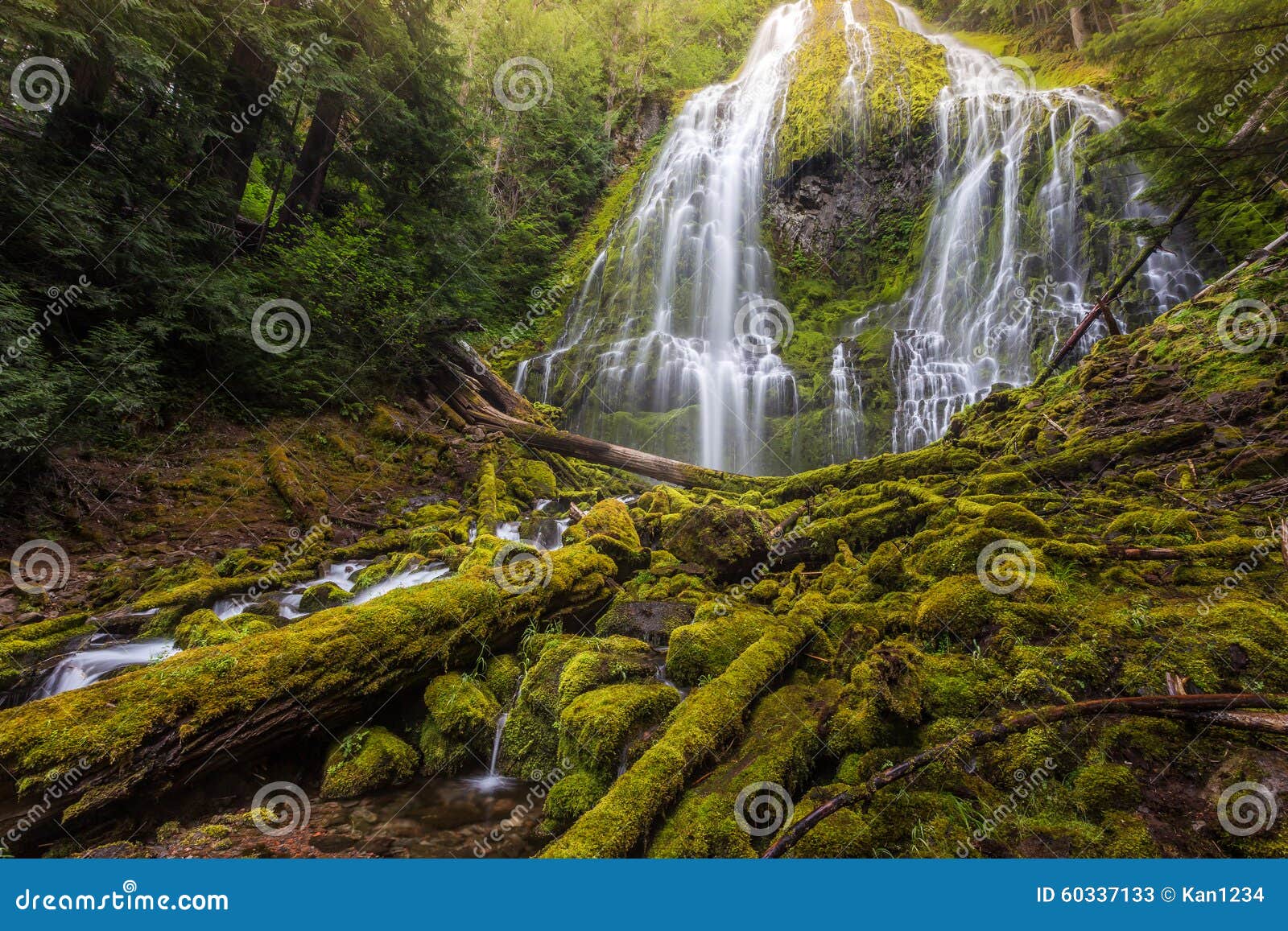 Beautiful Proxy Falls in Mist, Oregon Stock Image - Image of oregon ...