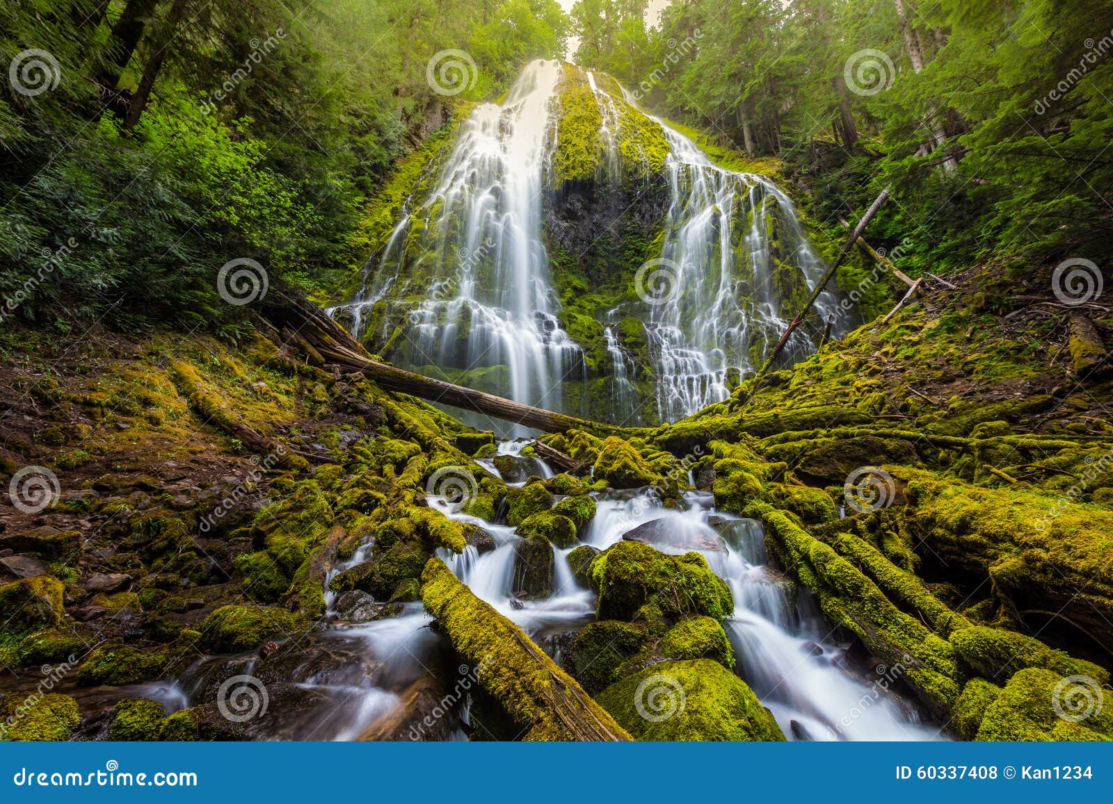 Beautiful Proxy Falls in Mist, Oregon Stock Photo - Image of lanscape ...
